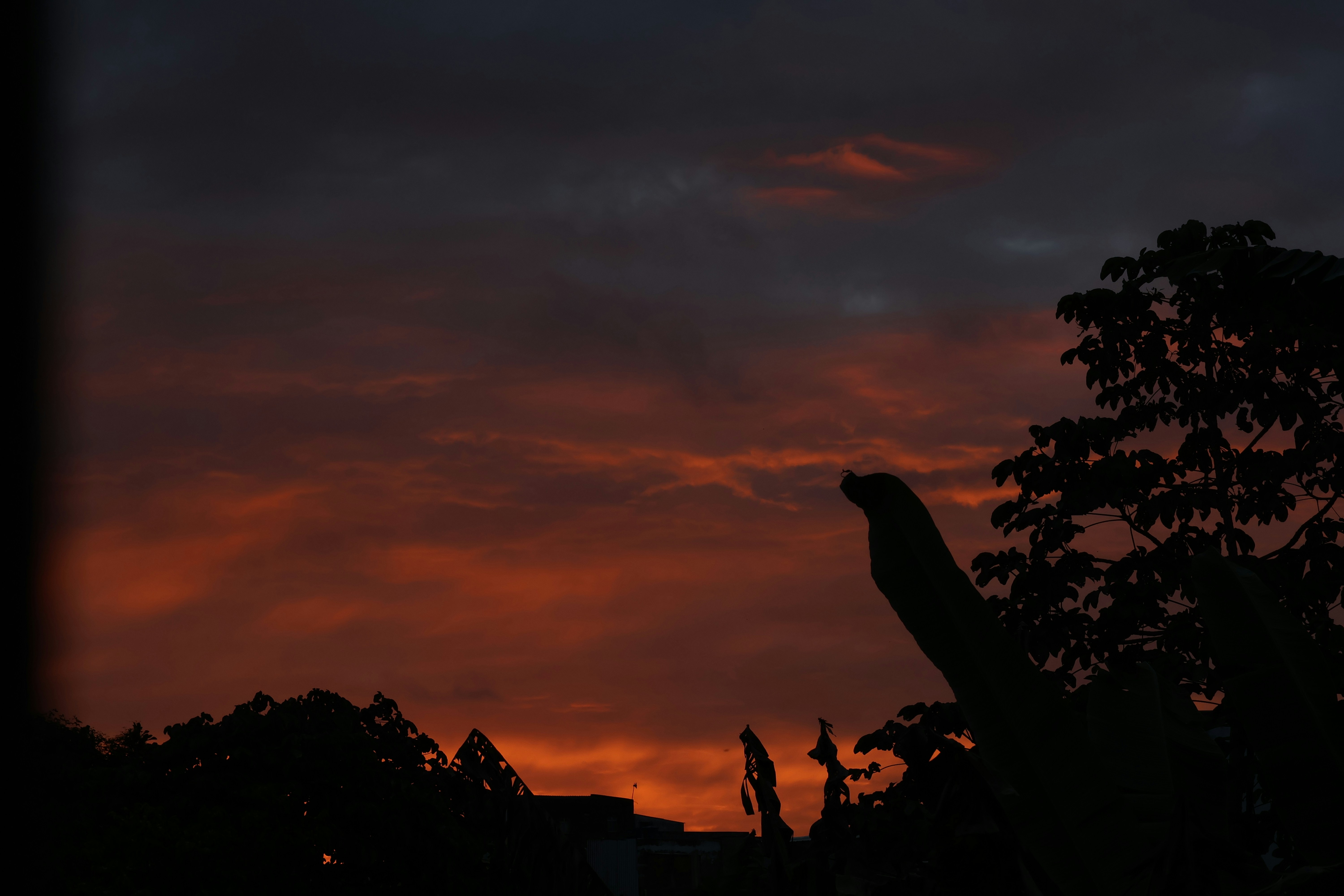 Silhouette at Dusk: A Quiet Horizon Against Fiery Skies