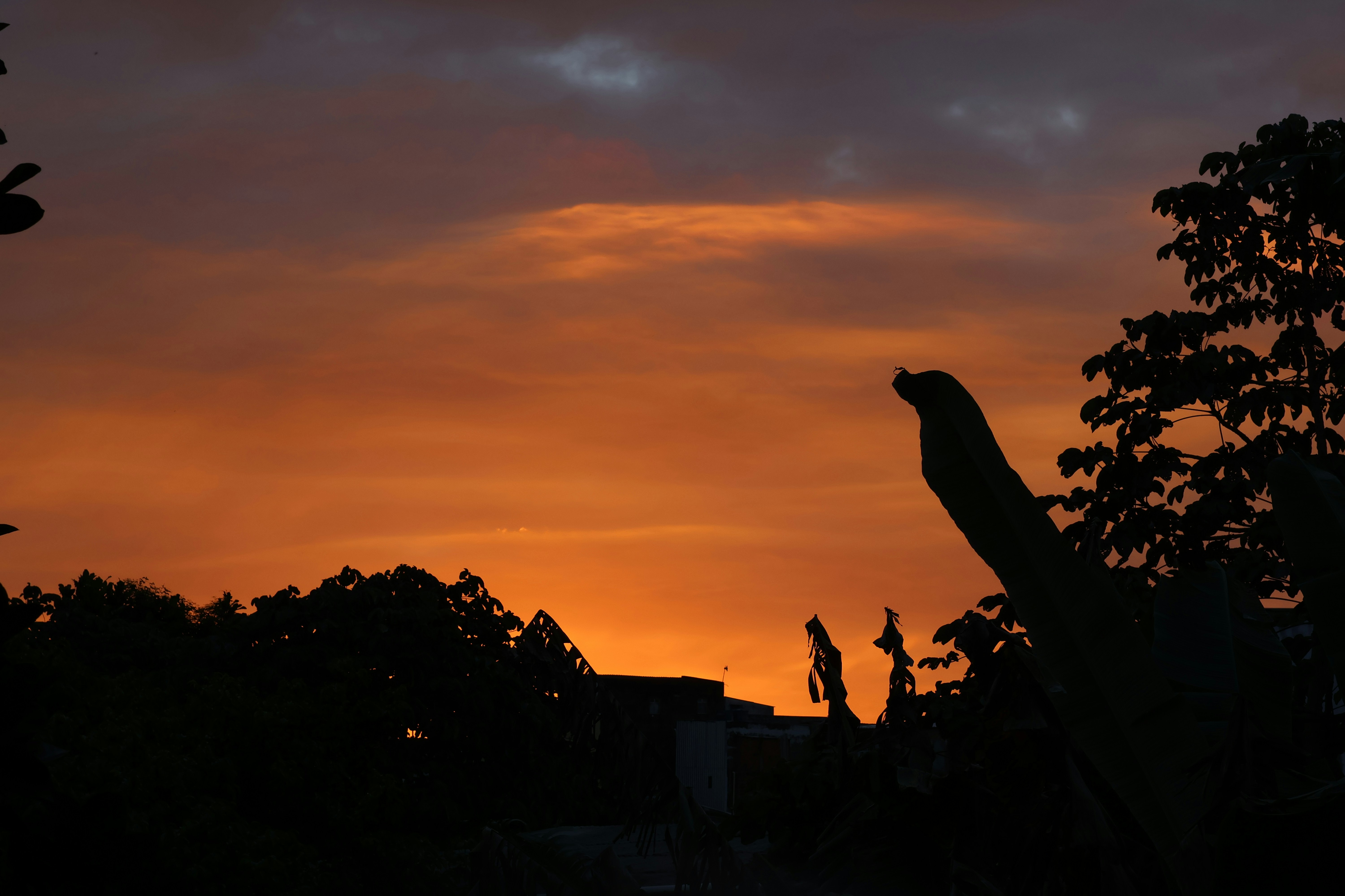 Silhouette at Dusk: A Quiet Horizon Painted in Orange