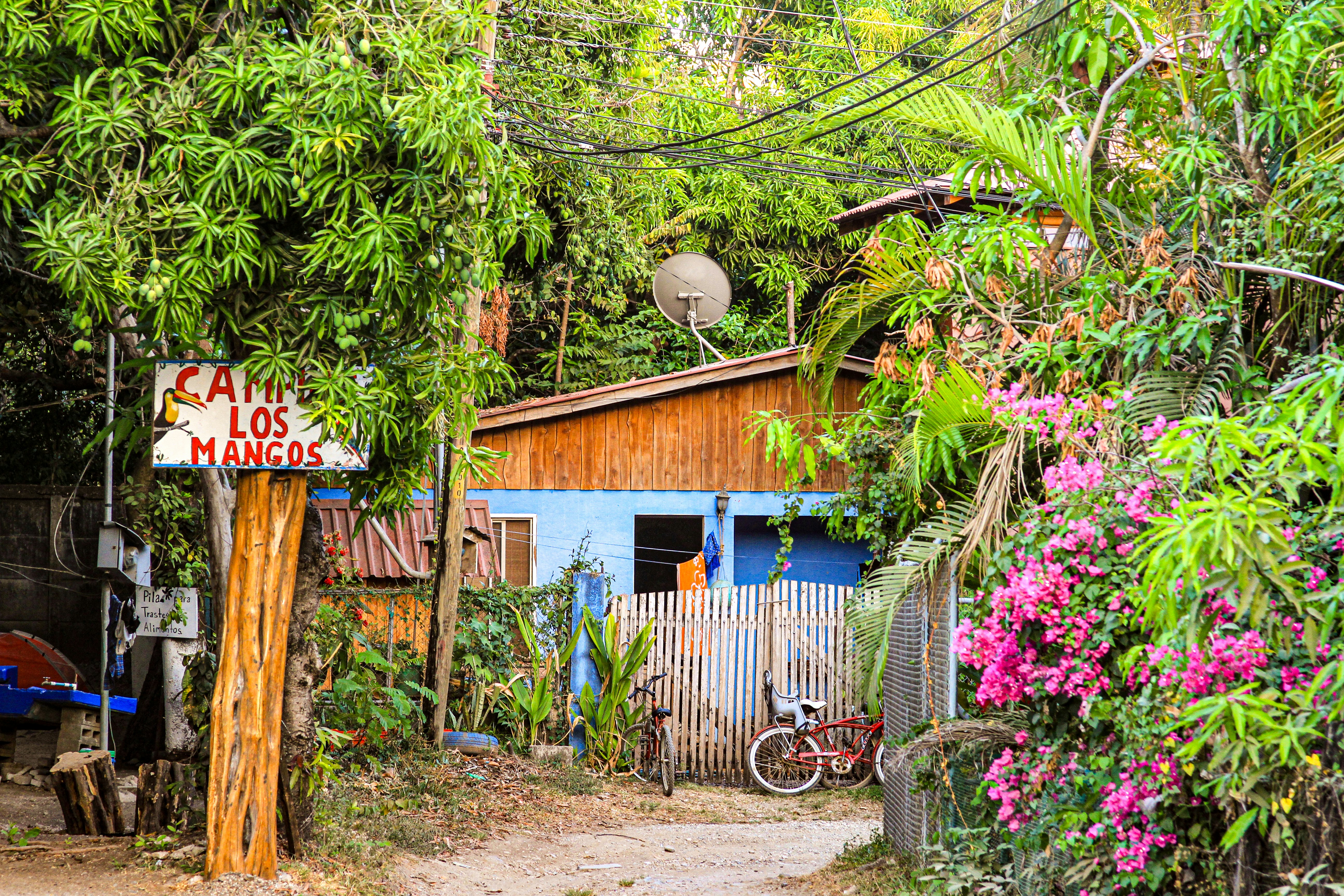 Colorful Village Scene with Blue House and Lush Garden
