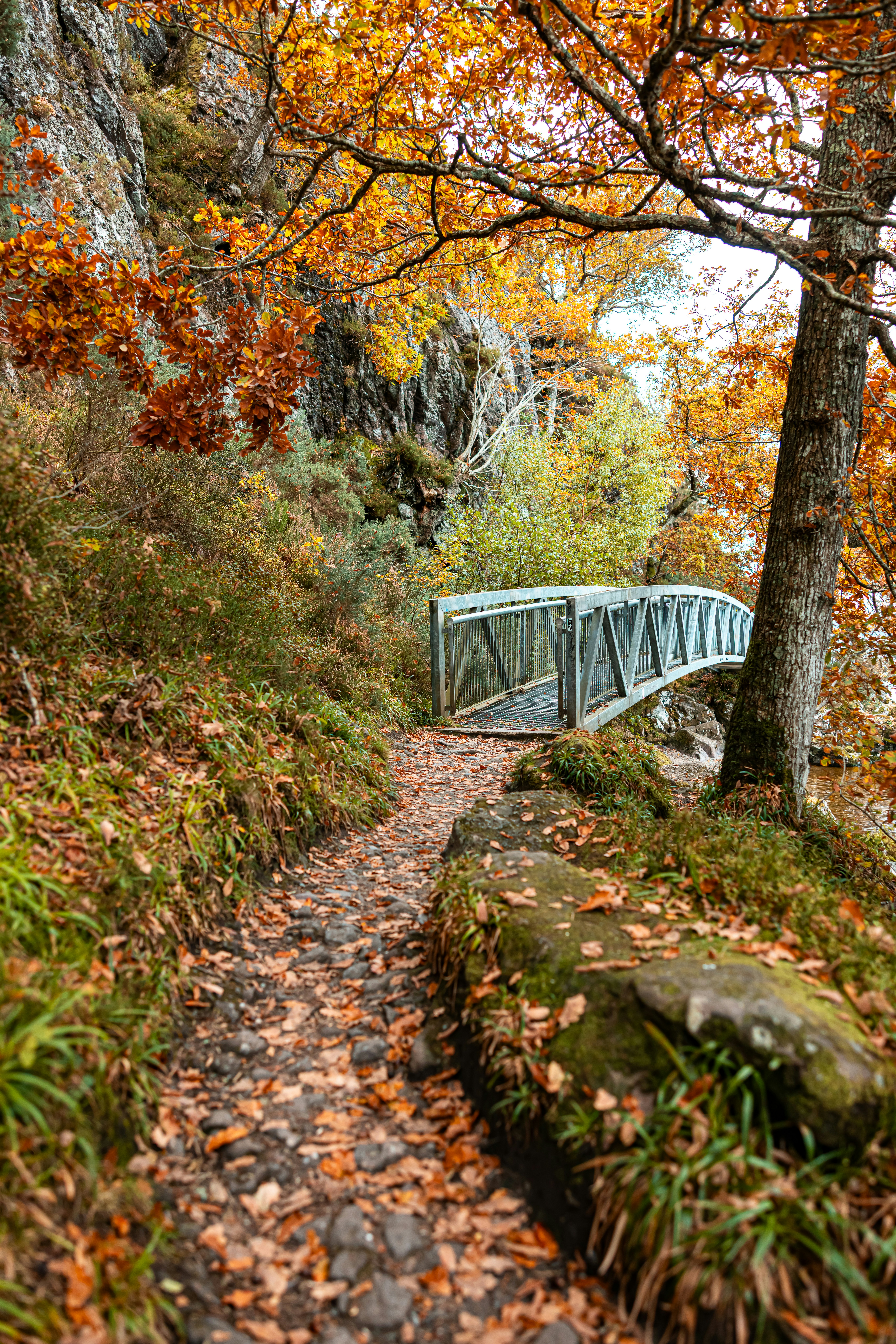 Autumn Footpath to a Gentle Bridge