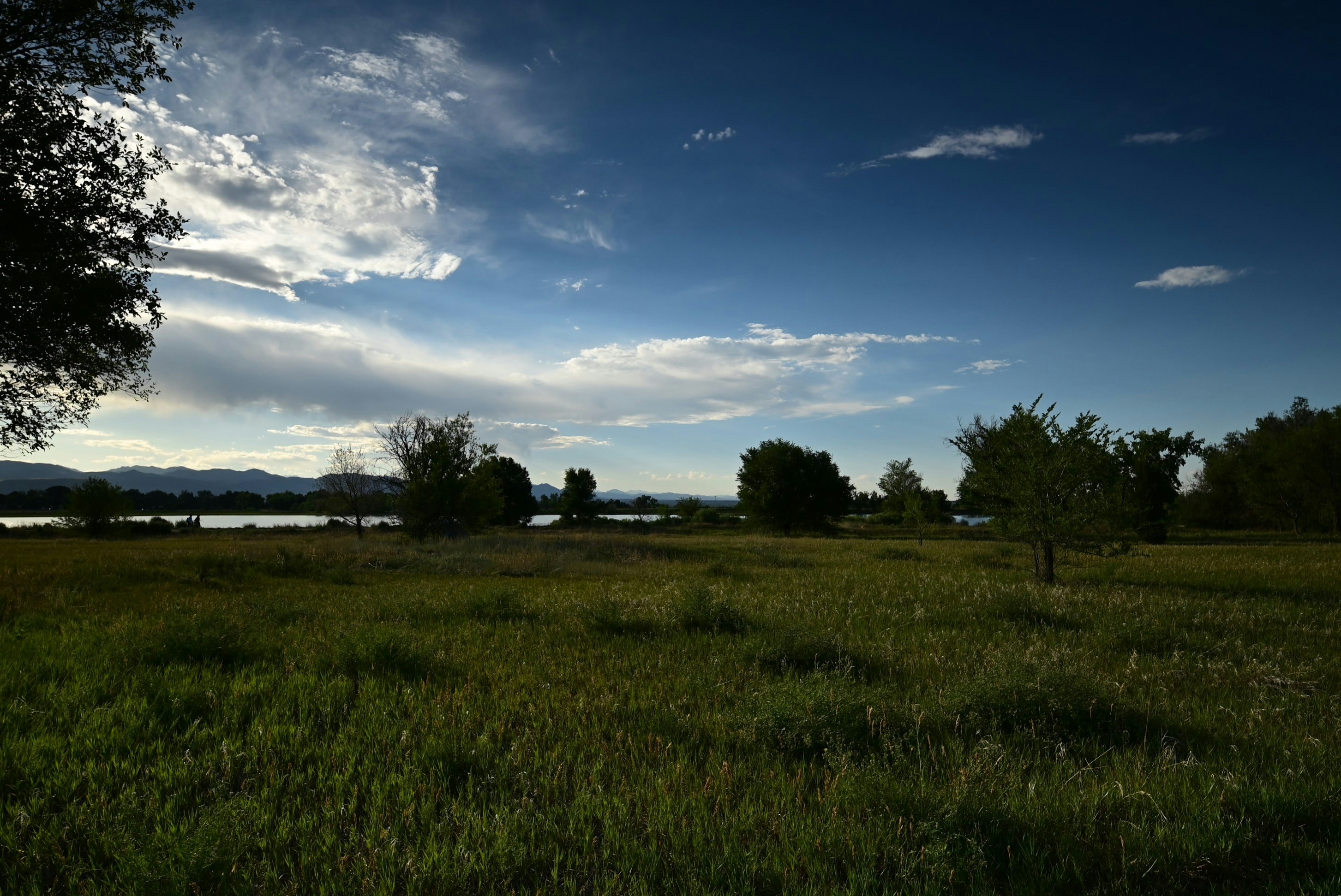 Golden Hour Horizon: A Quiet Lakefront Meadow Under Expansive Sky