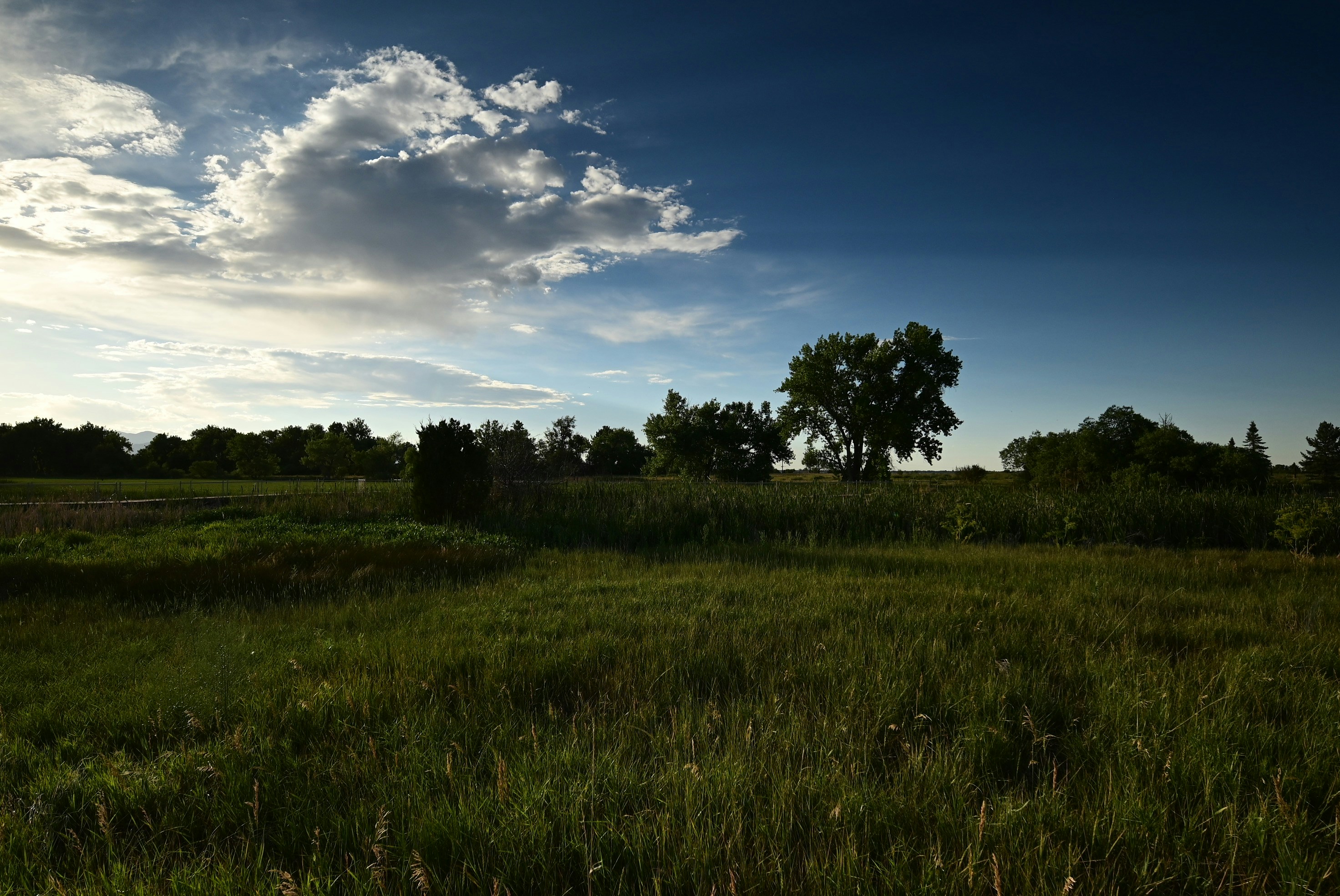 Wide-Open Grassland Under a Dynamic Sky