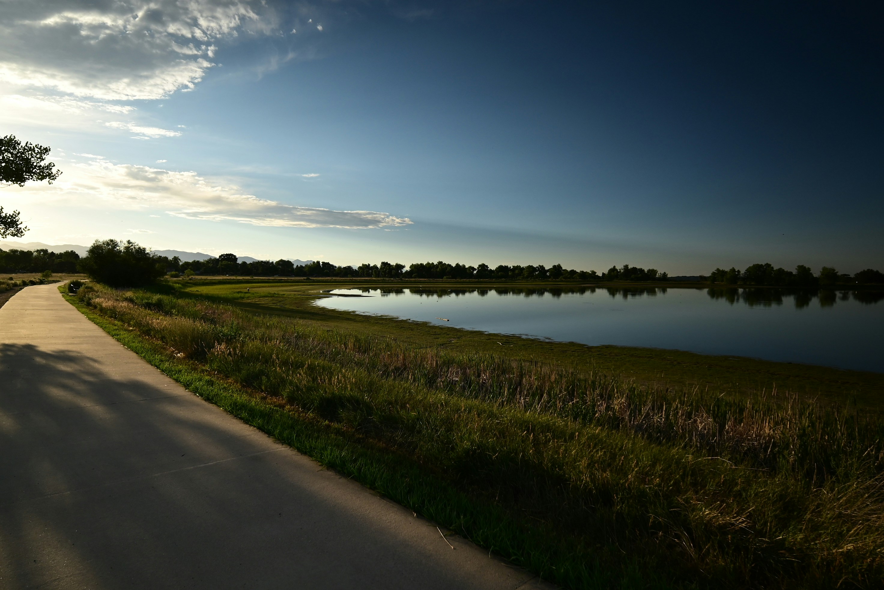 Sunlit Rim: A Quiet Road Framing a Lakeside Field