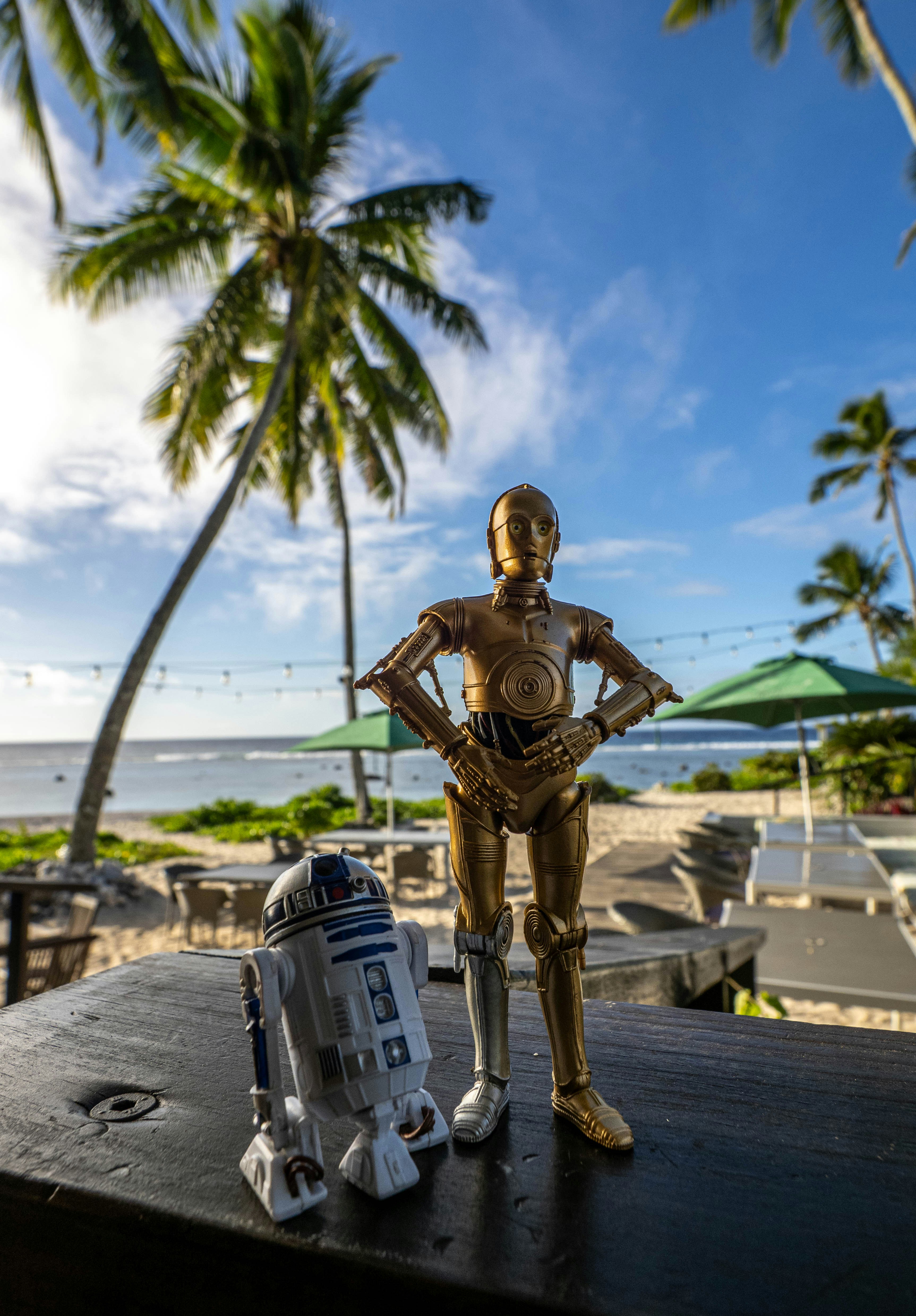 Shadows and Silver: Droid Companions at Sunny Shorefront