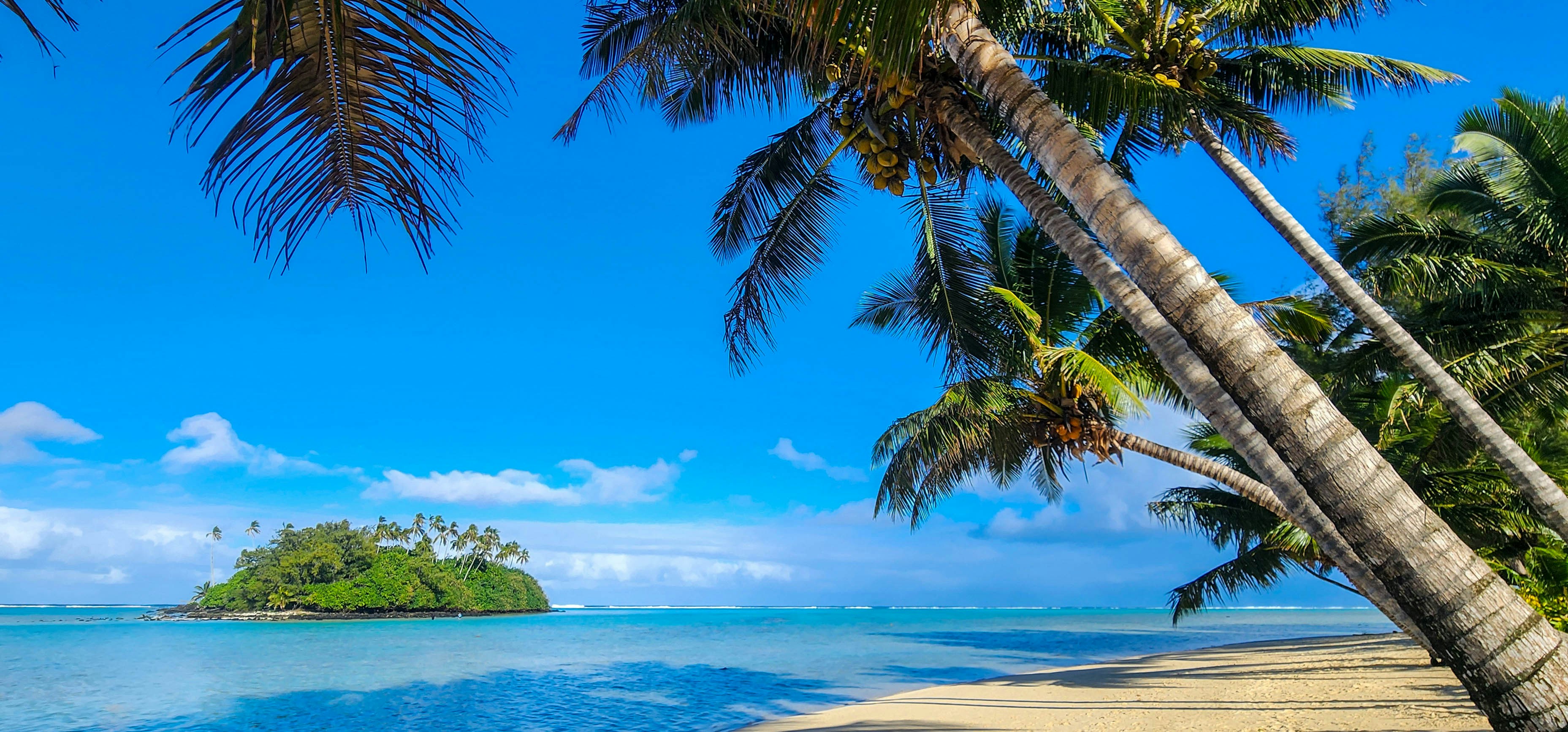 Palm Fronds over Turquoise Sands at a Quiet Island Tropic
