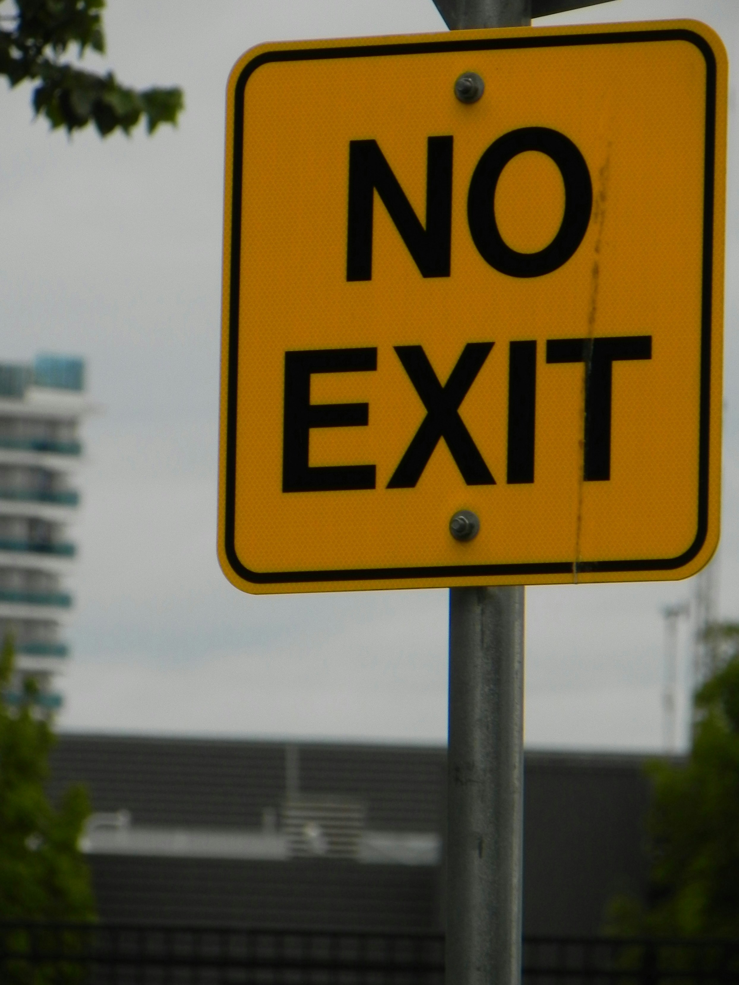 Bold Yellow No Exit Sign Anchors a Quiet Urban Scene