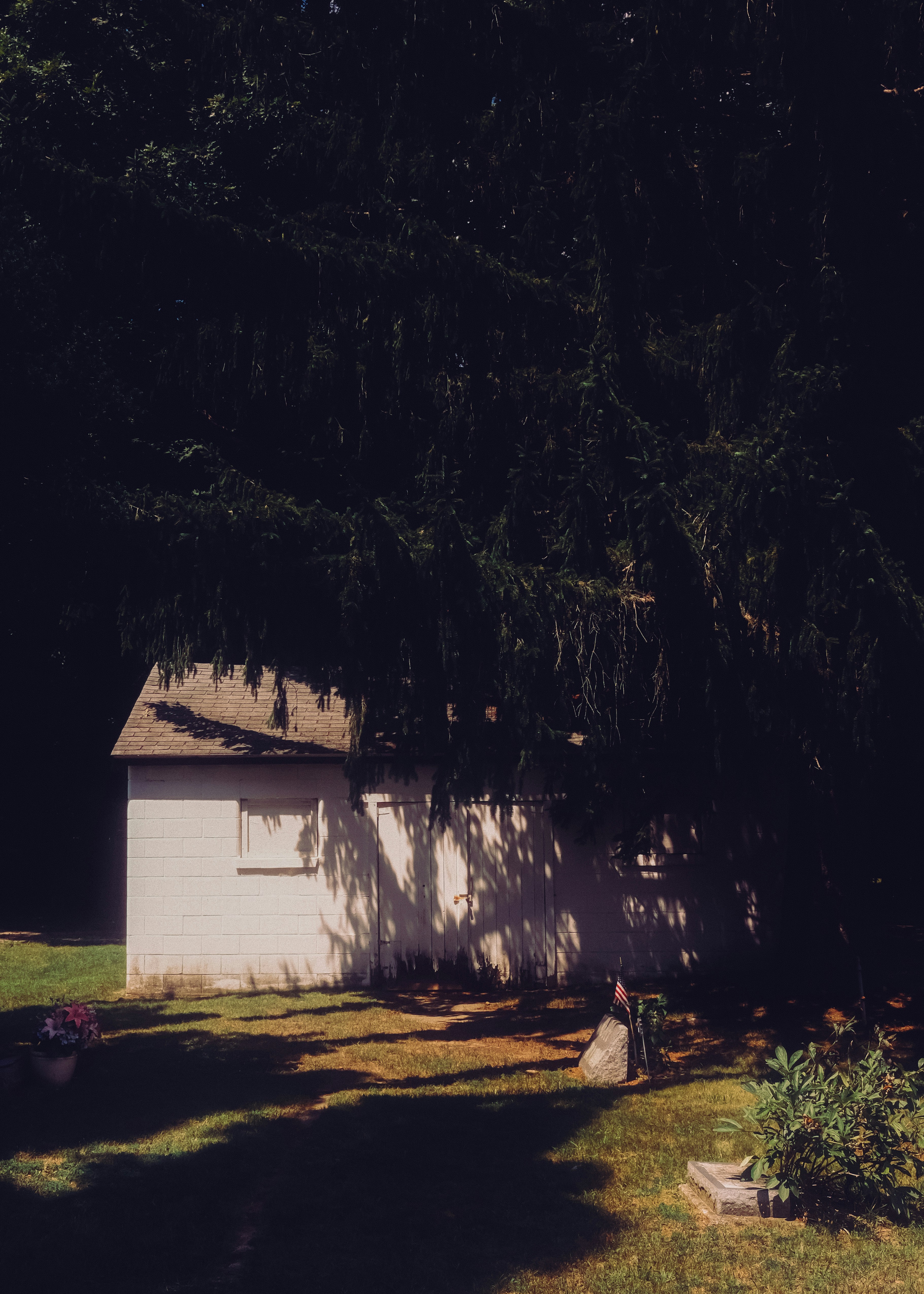 Shaded Roofline beneath Overhanging Pines