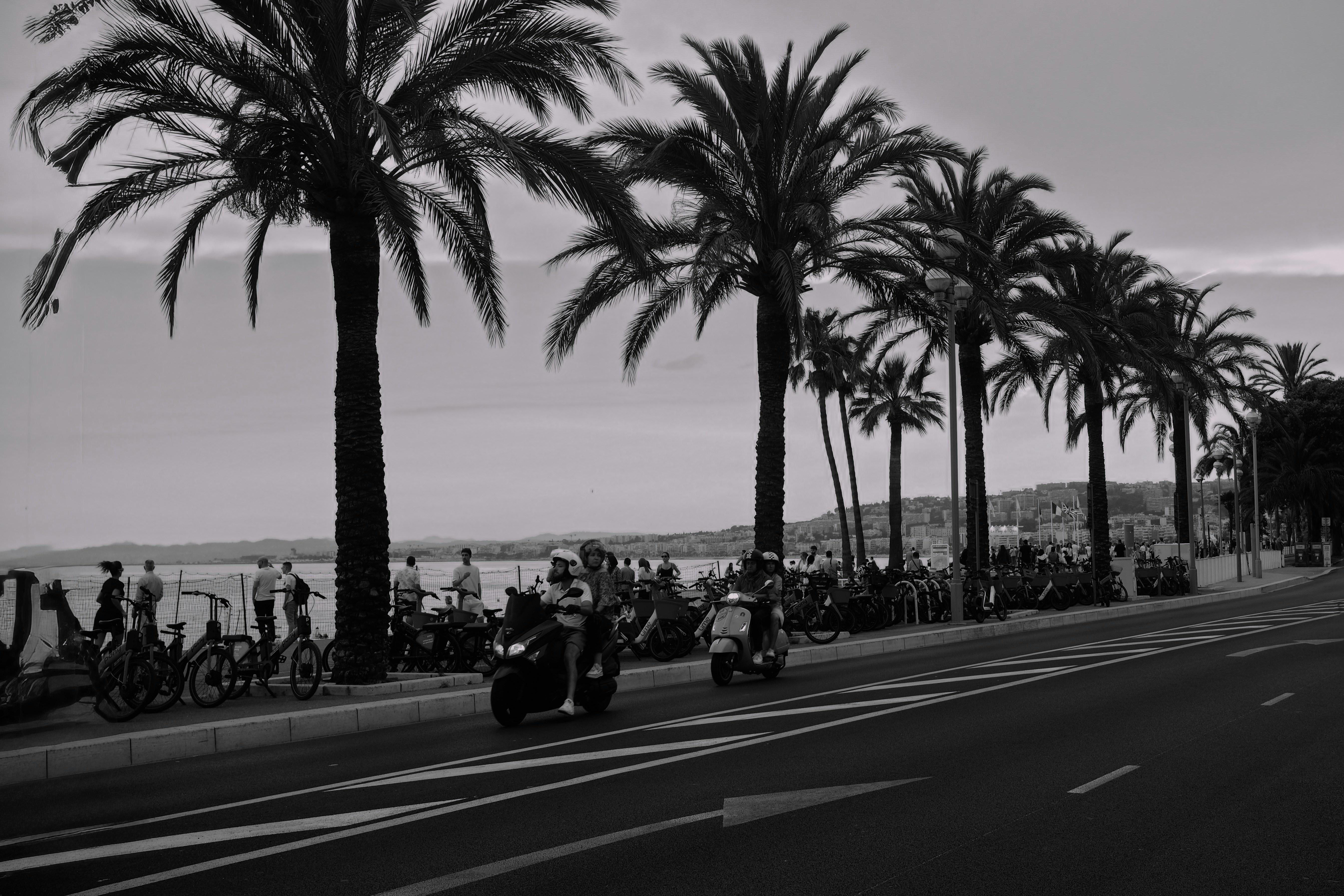 Palm-lined promenade under a moving line of scooters