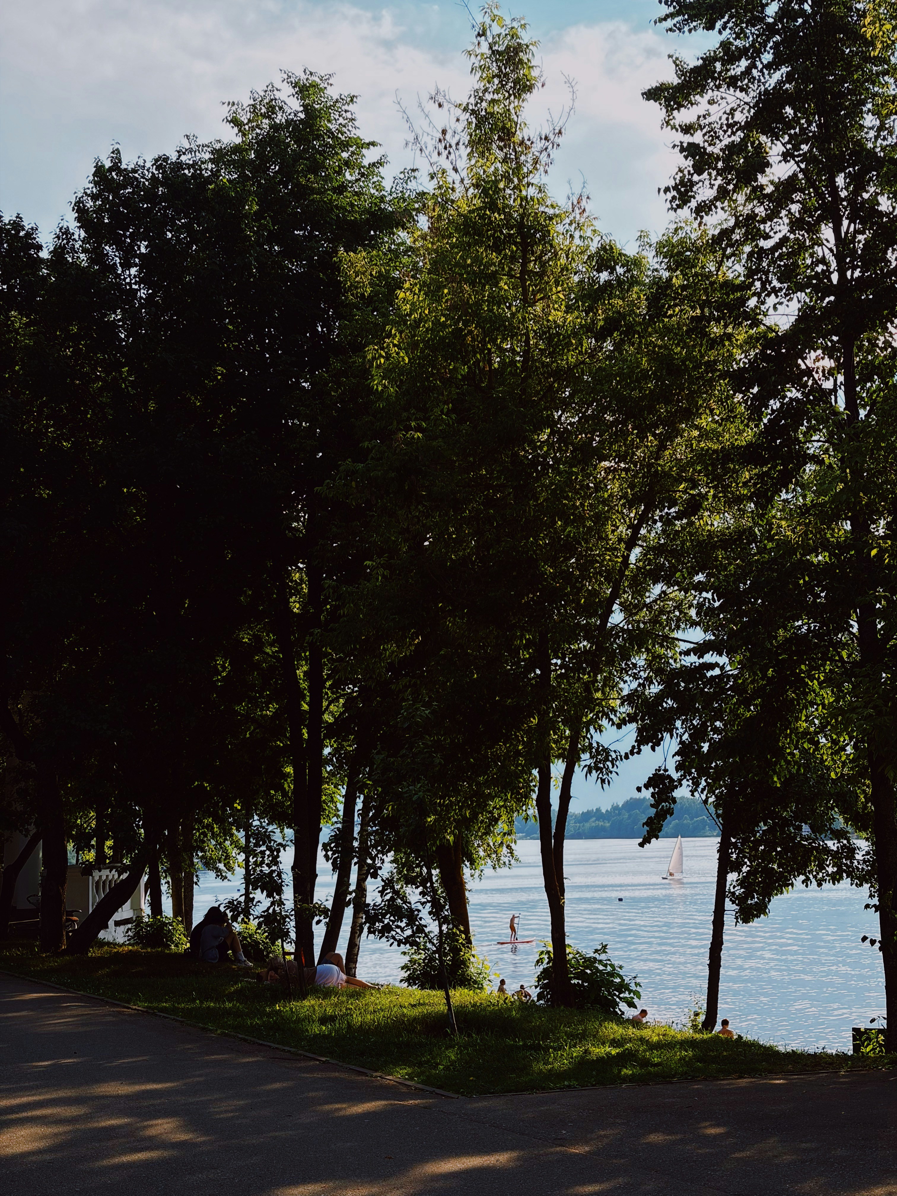 Sun-dappled trees along a lakeside shoreline frame a calm water scene with a few sailboats in the distance.