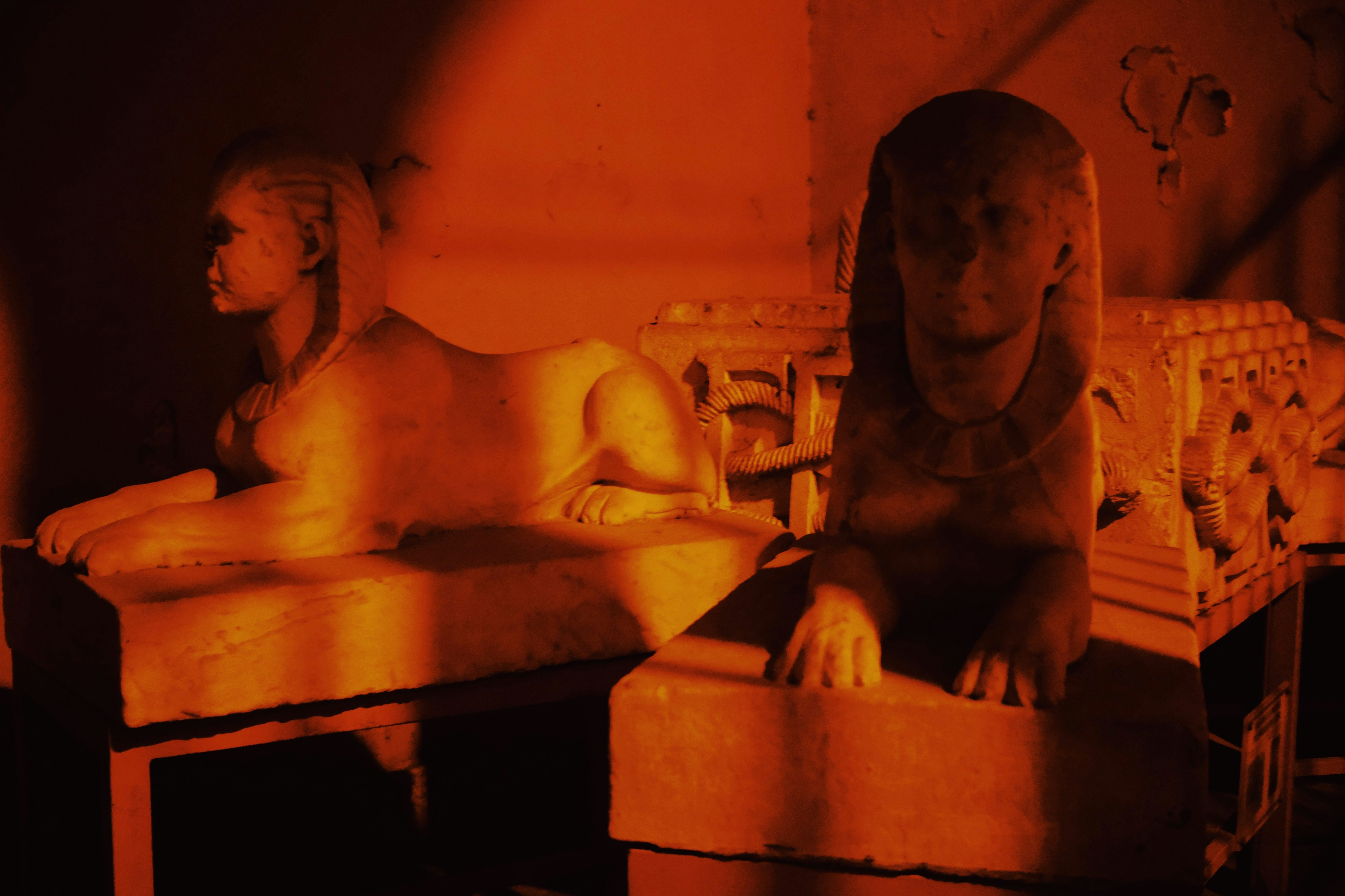 Silent Guardians Amid Warm Ember Light