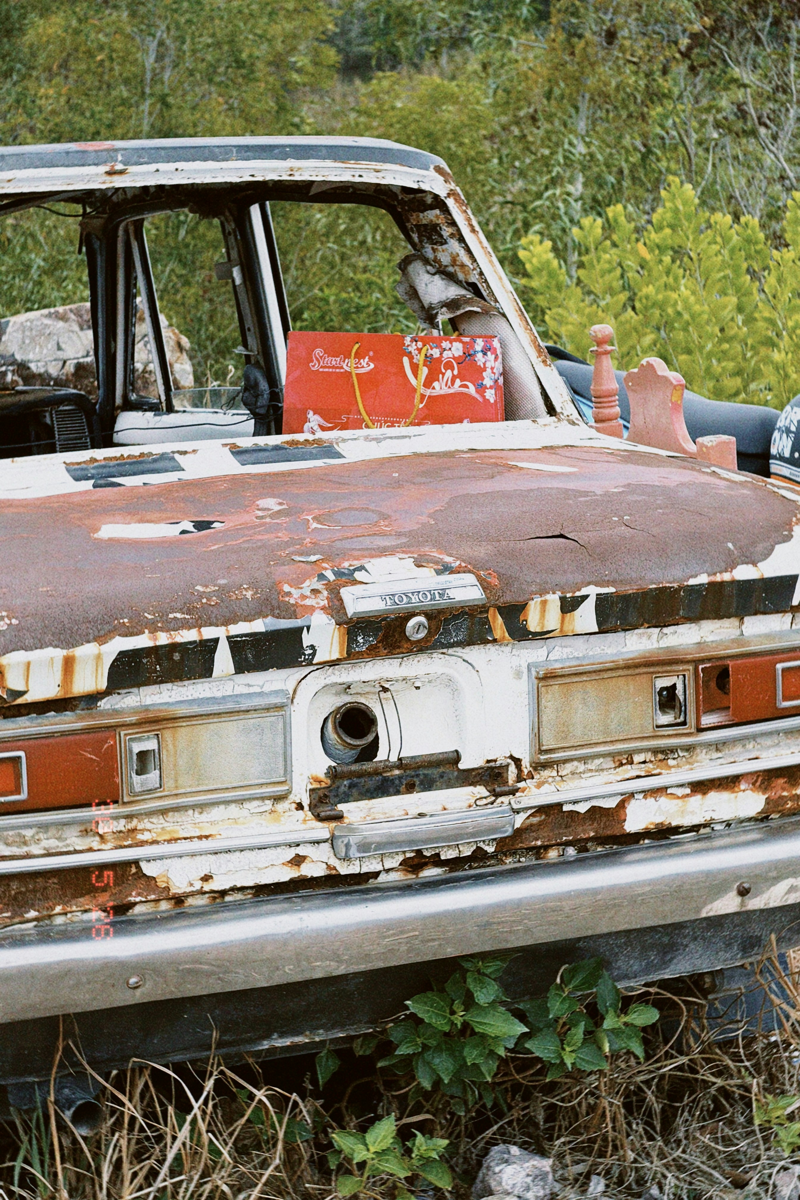 Rusting relic: sun-bleached Toyota trunk and overgrown past