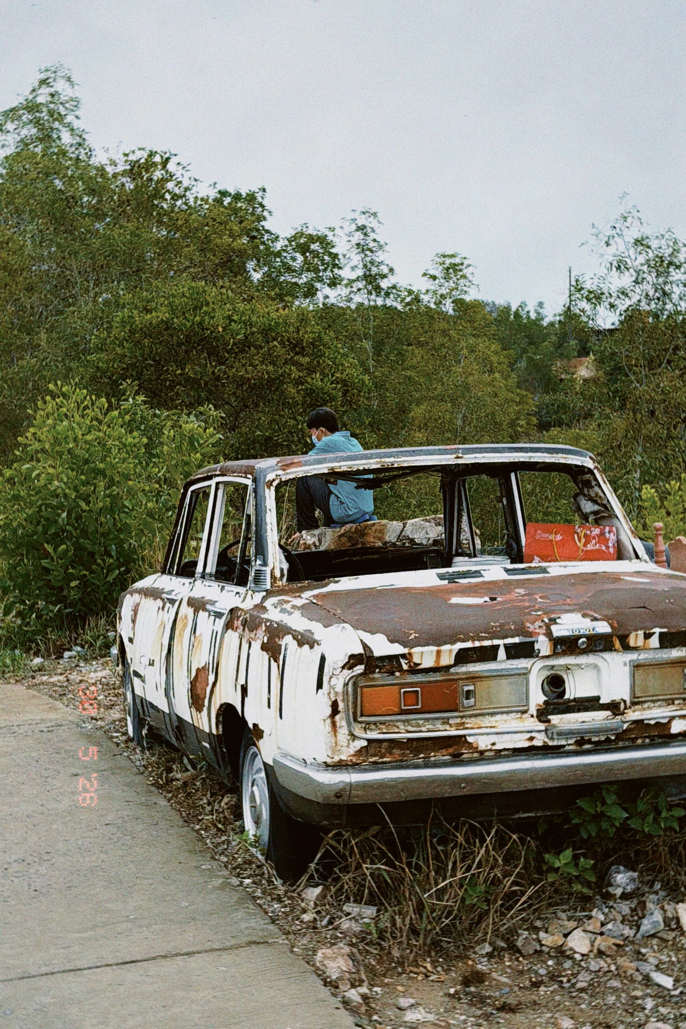 Overgrown vintage car sits abandoned beside a cracked road, with a person in a blue jacket hunched near the open trunk among surrounding trees. This is a candid, documentary-style shot of decay and quiet exploration.