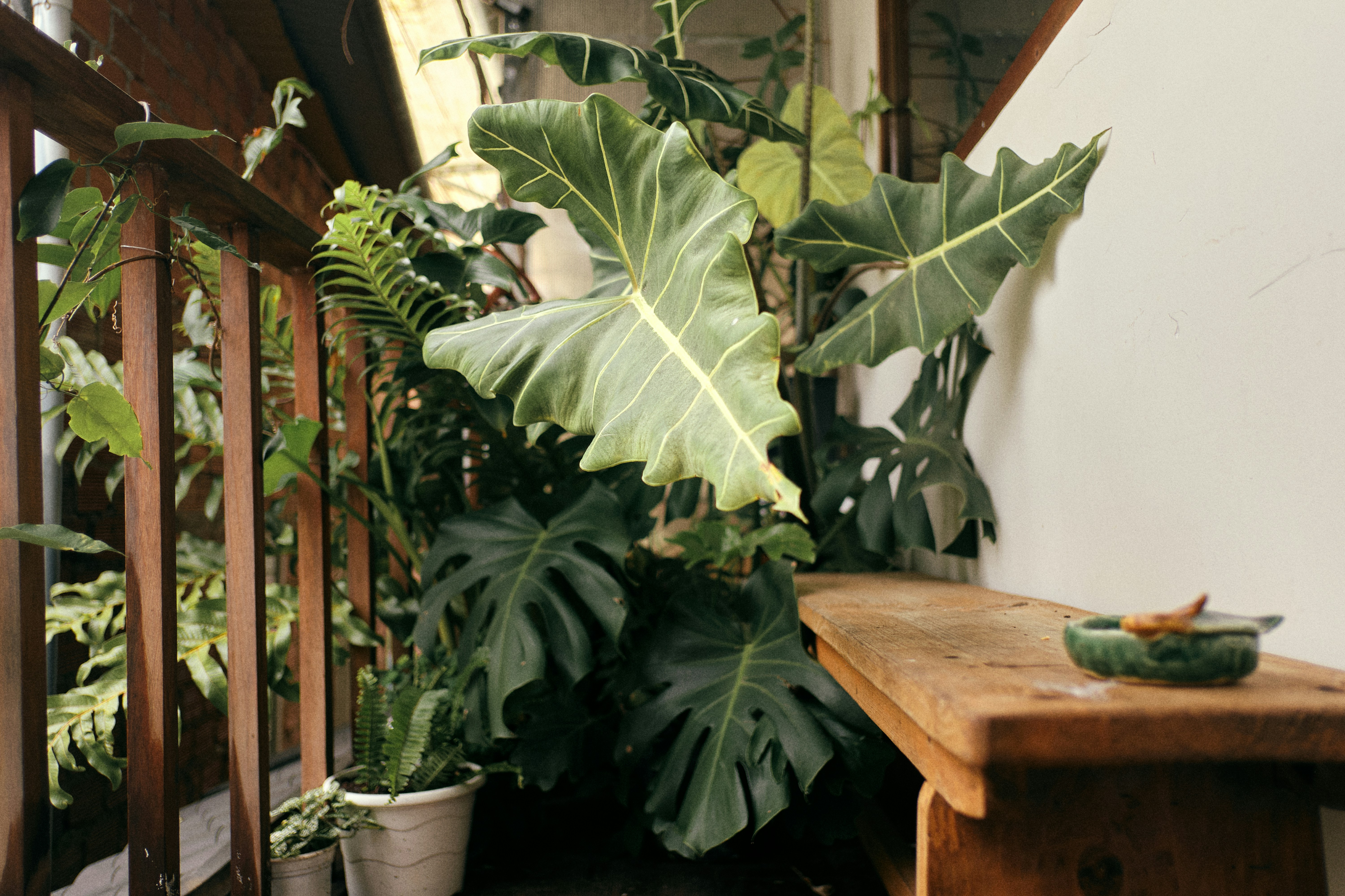 Leafy Terrace Quiet: A Corner Balcony With Lush Foliage