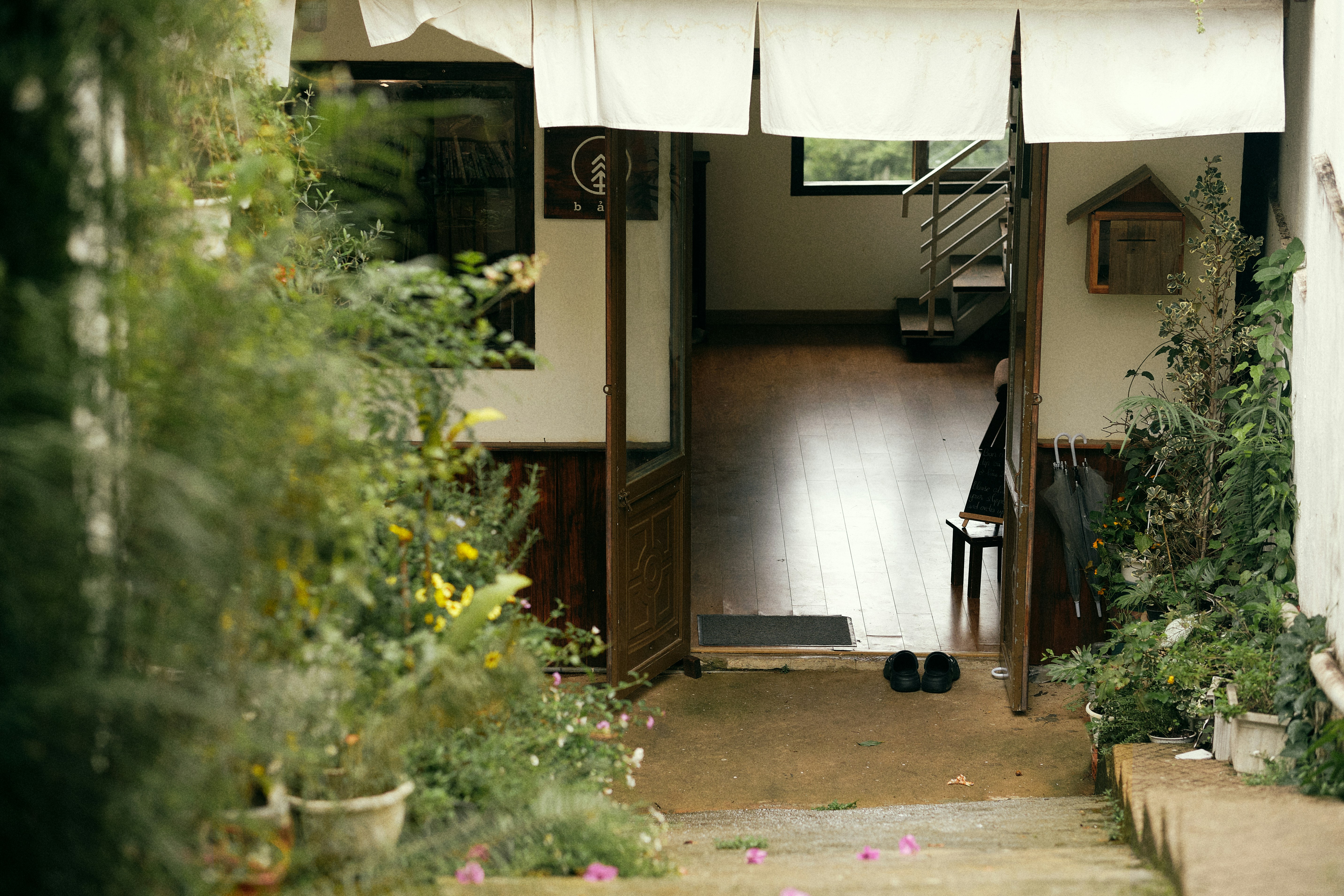 Hidden Café Gate: A Quiet Entrance Framed by Greenery
