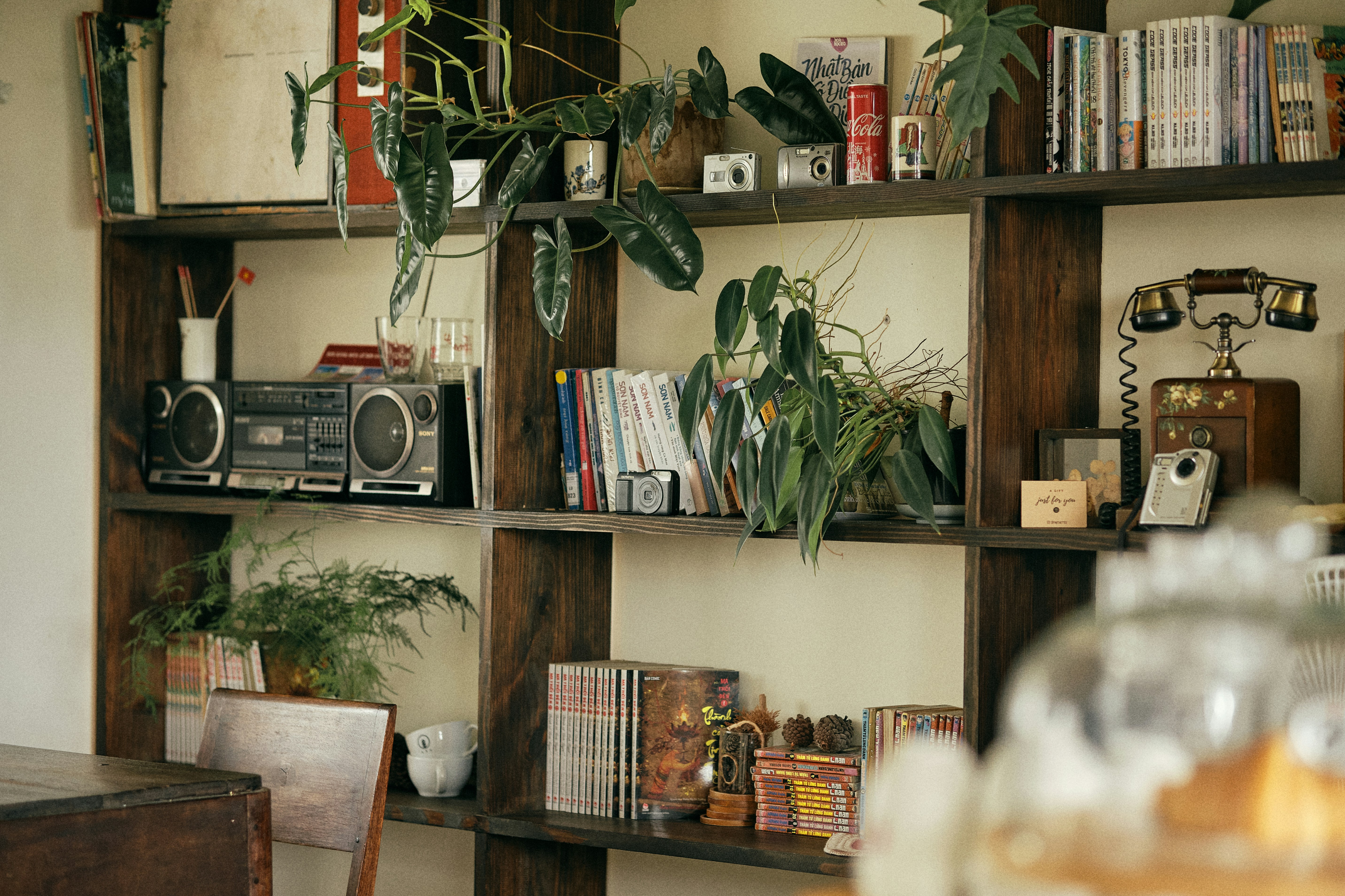 Bookshelf with plants, boombox, books, and vintage telephone.