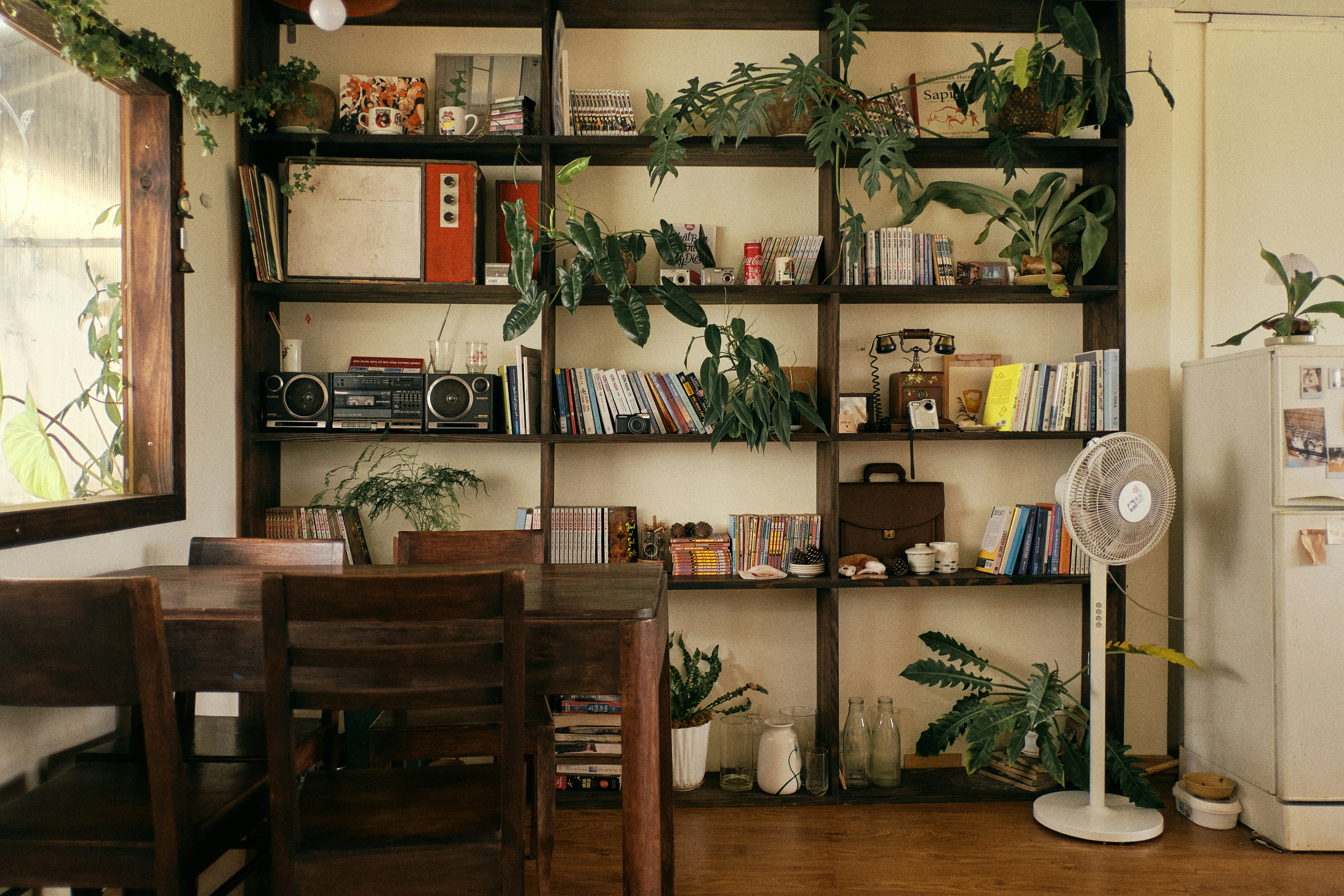 Cozy Bookshelf Studio: Quiet Corner with Plants, Radio, and Fan