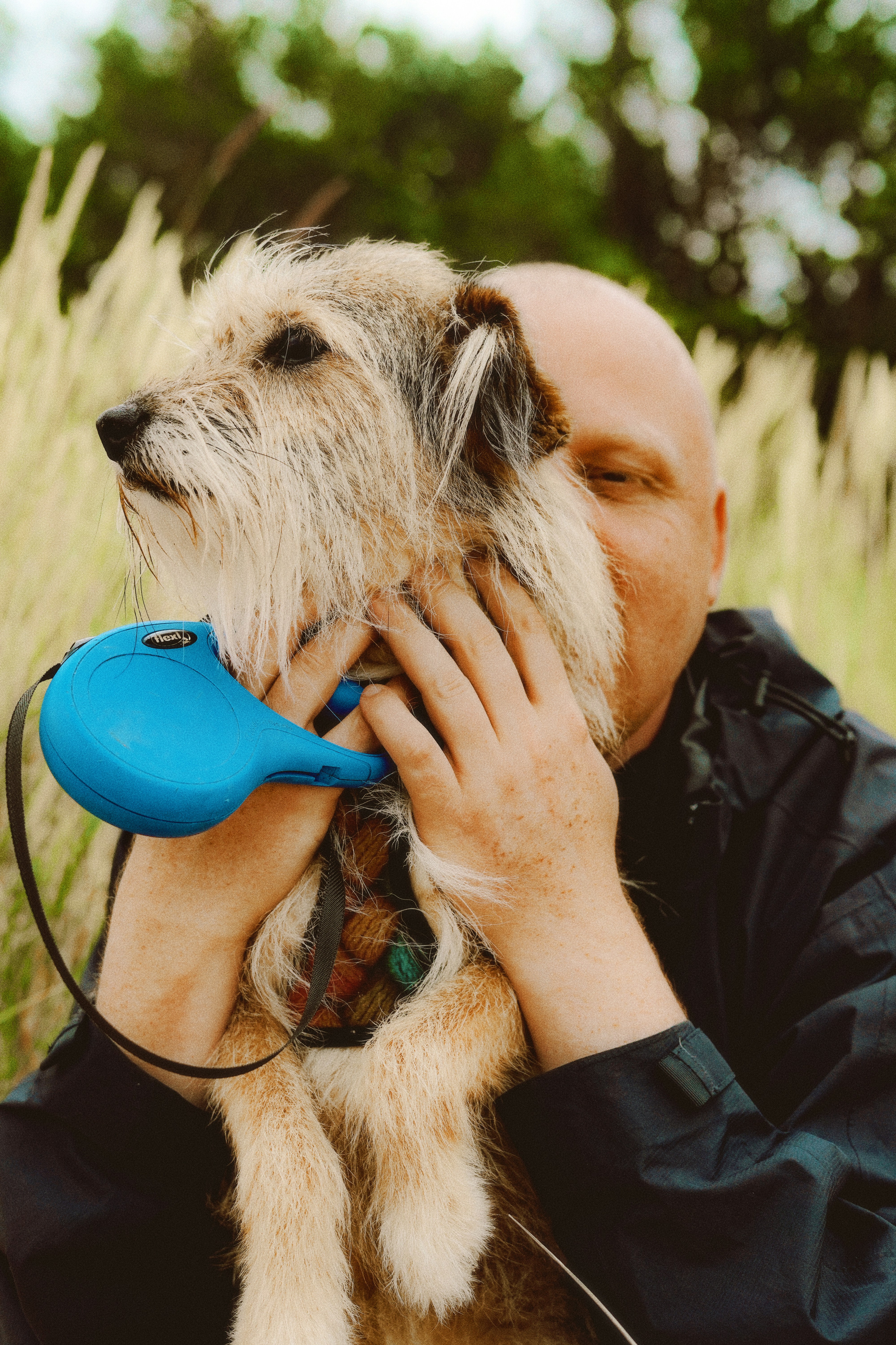 Hands, Hound, and Halo: A Moment of Quiet Bonding Outdoors