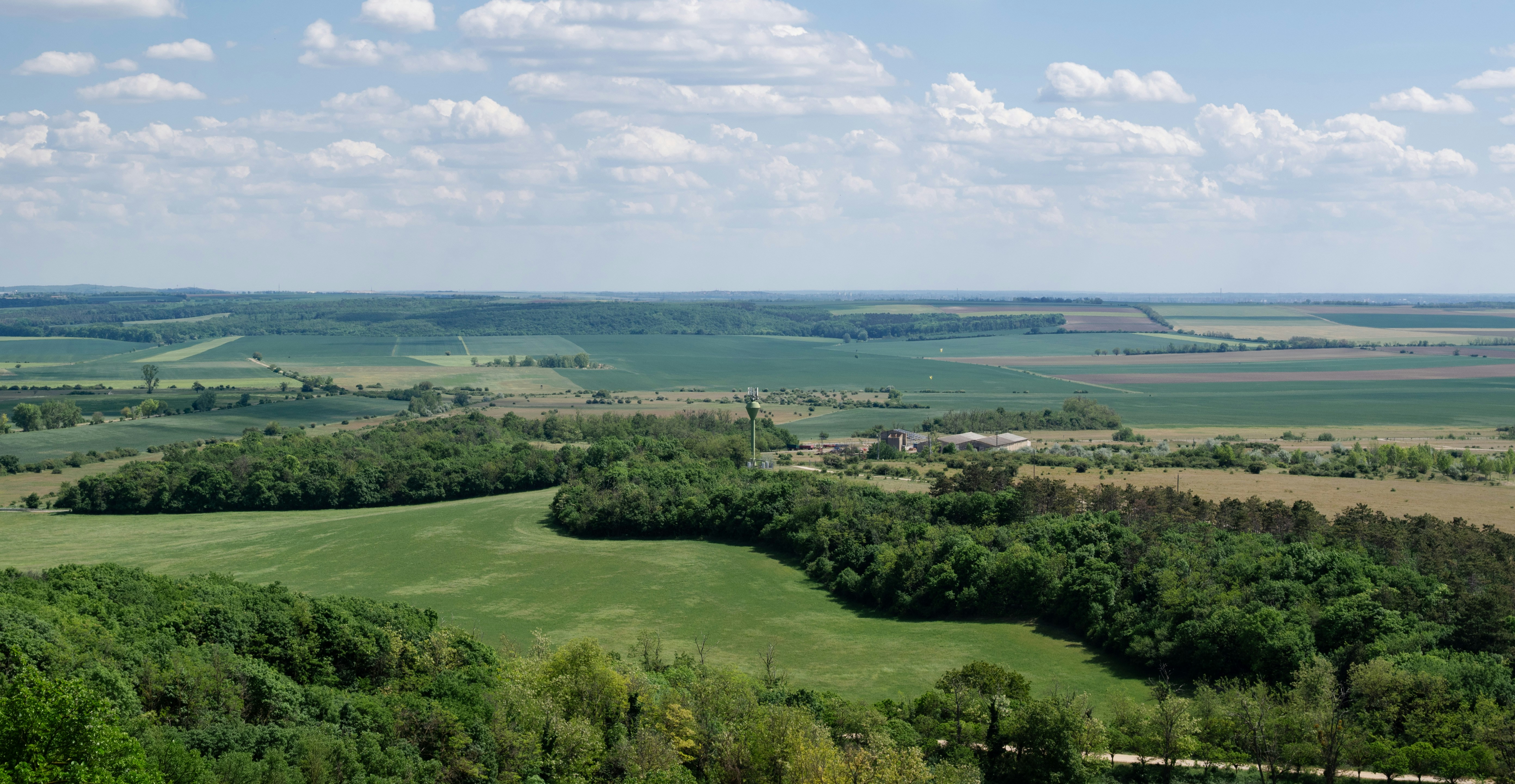 Verdant Horizon: A Smooth Ribbon of Fields and Forests