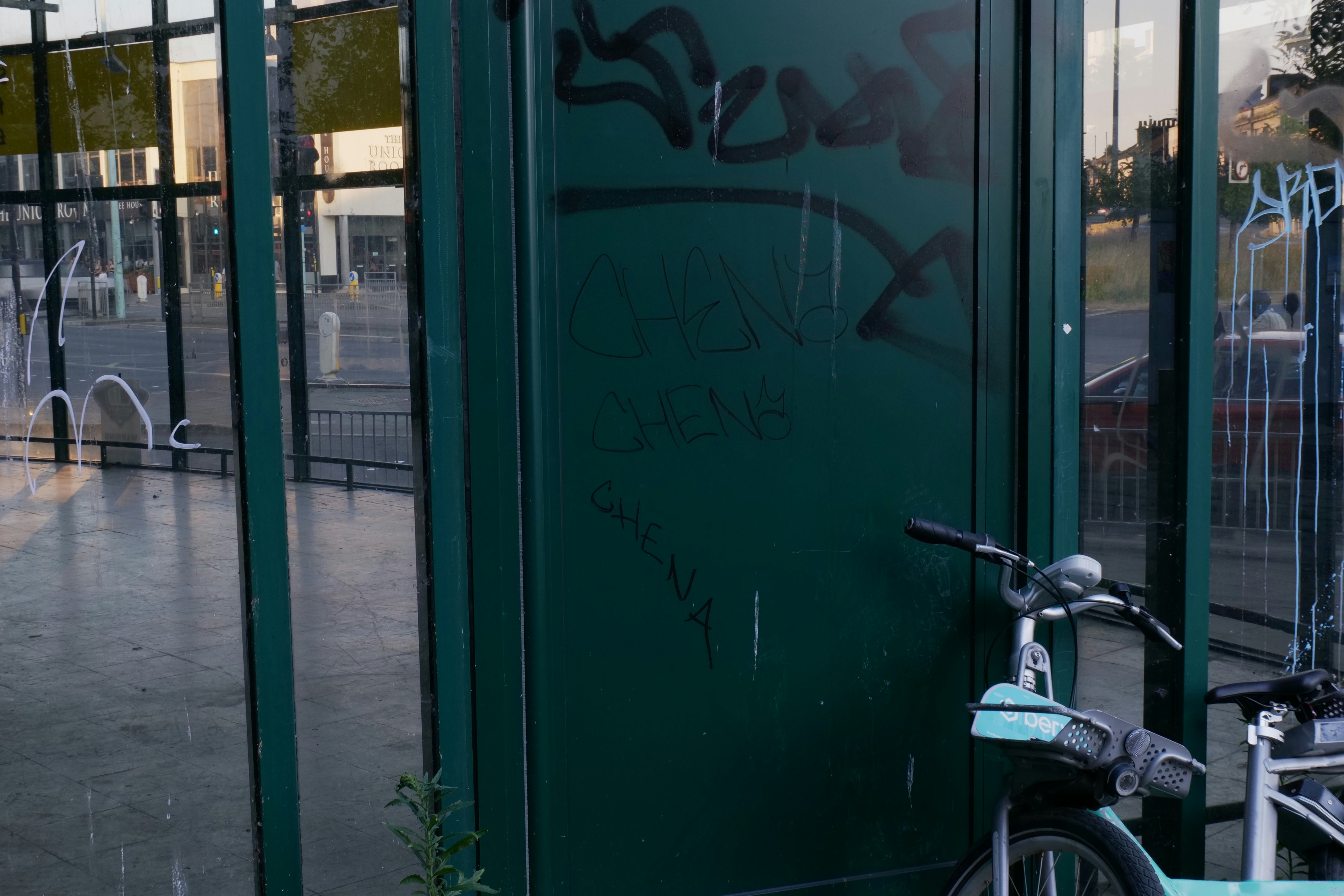 Green Glazed Door with Graffiti and a Waiting Bicycle