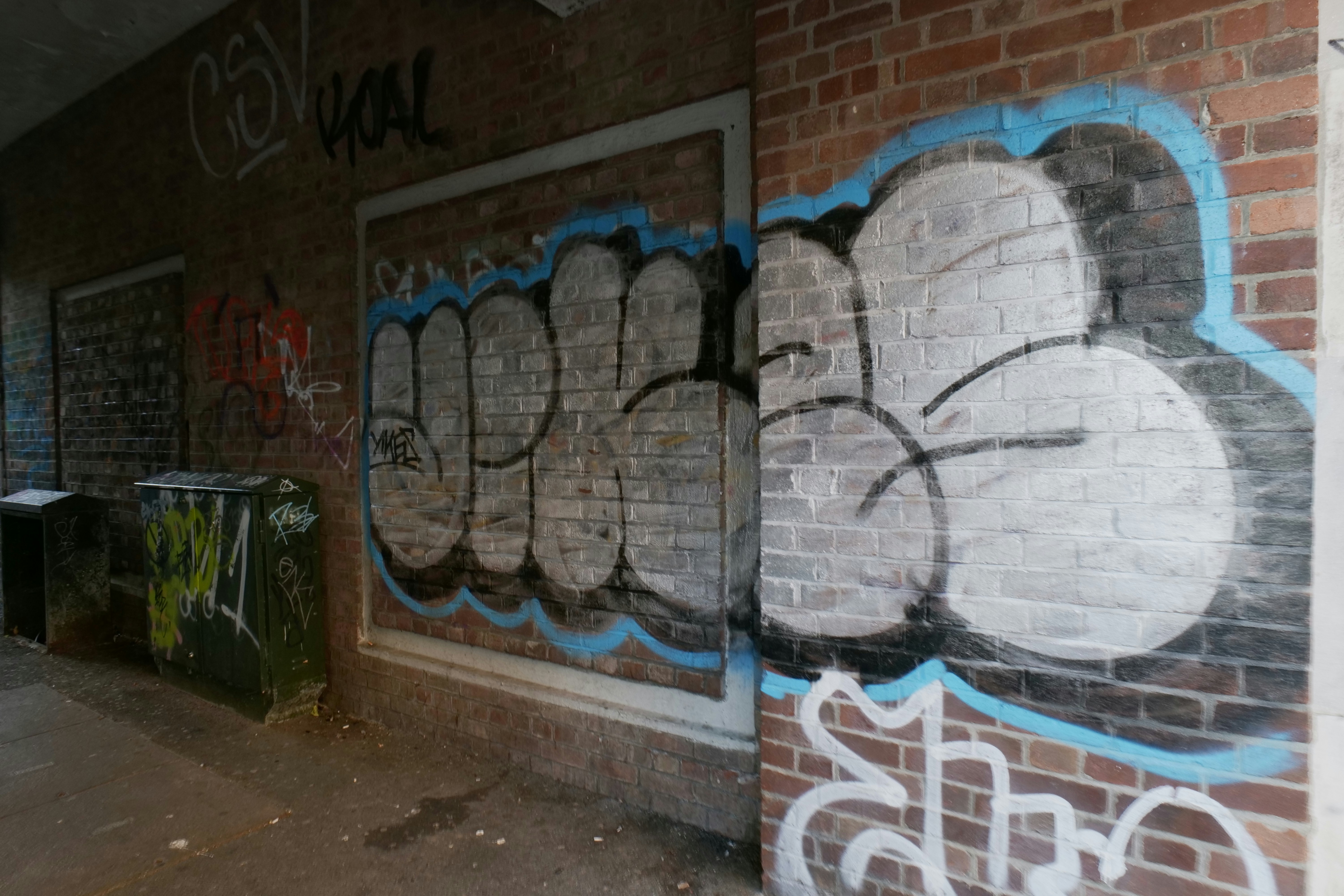 Urban Graffiti Scene: A Wall of Toned Giants