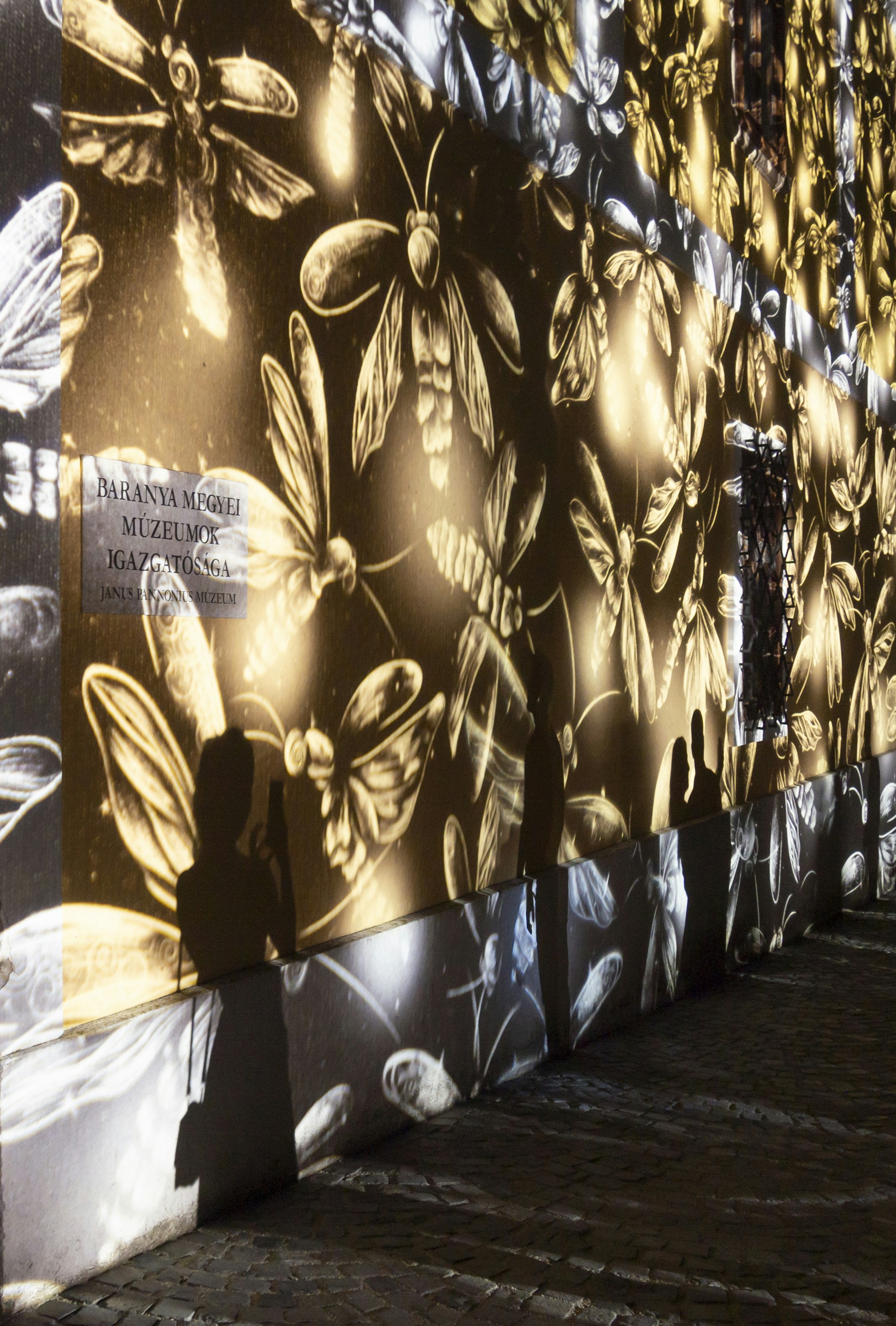 Shadowed Silhouettes on a Flowered Wall