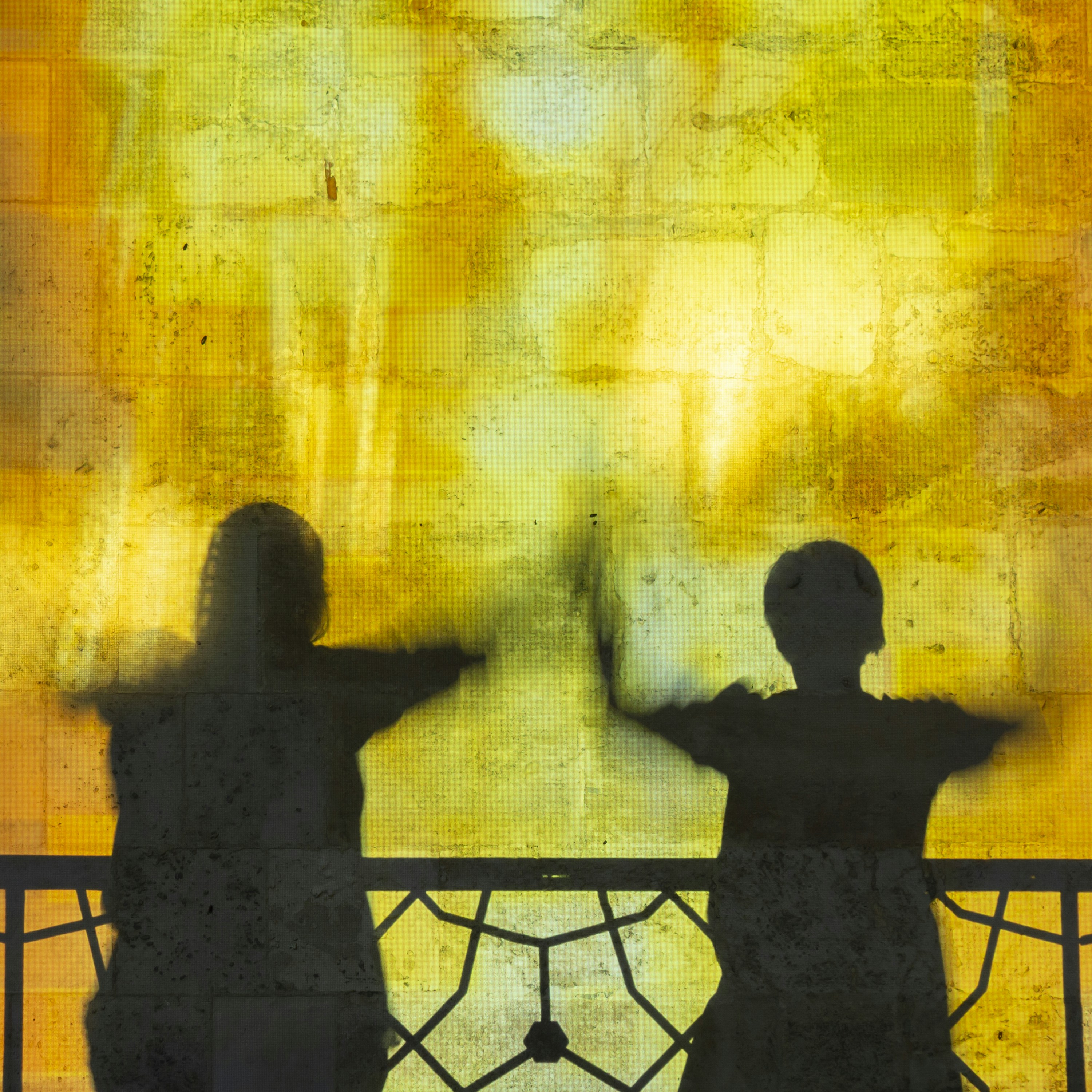Shadow Play on a Yellow Veil