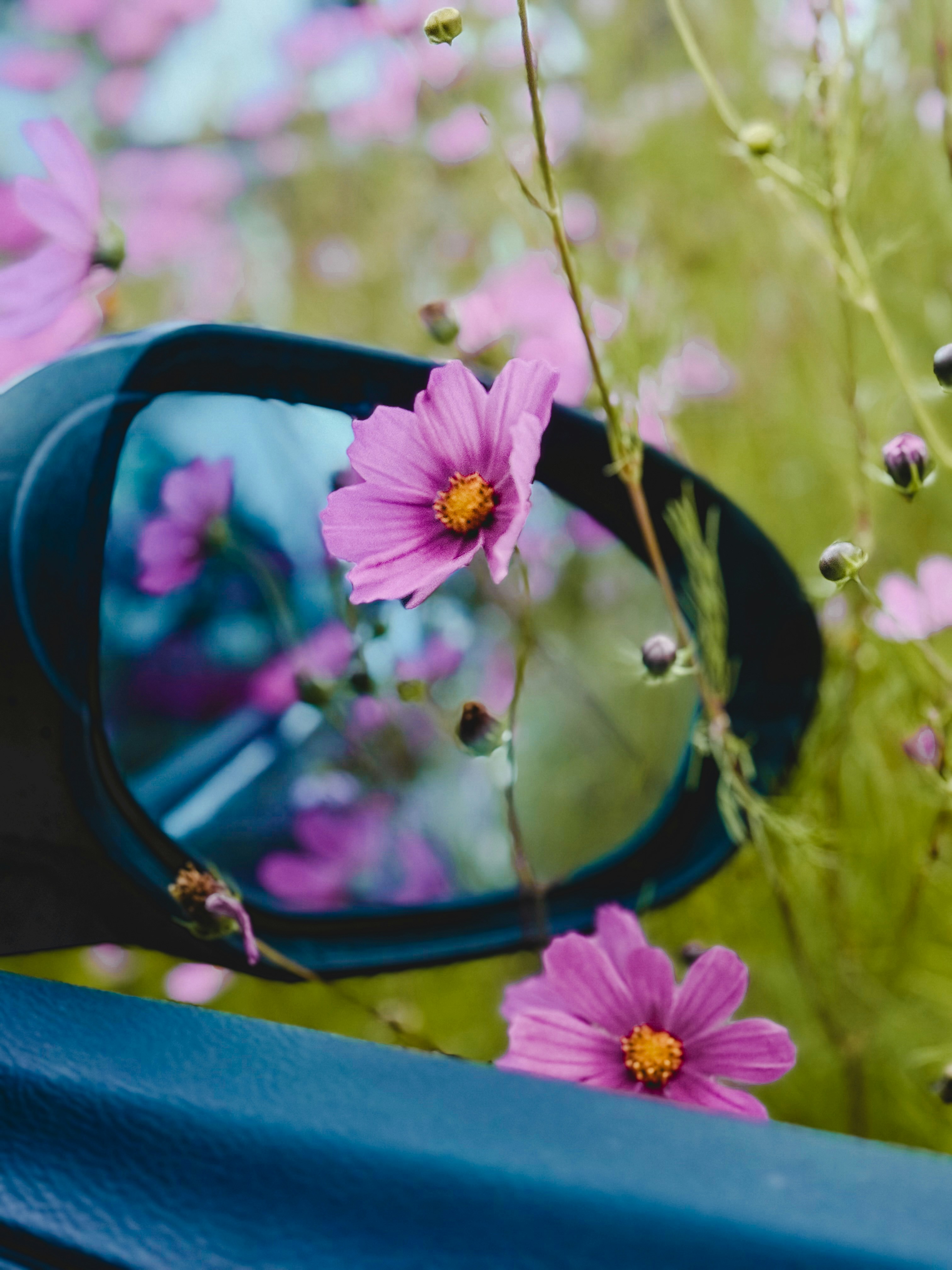 A close-up of a car side mirror surrounded by vibrant summer flowers, with their colorful blooms beautifully reflected in the mirror. This nature-inspired travel photograph captures the harmony between the outdoors and everyday journeys, featuring floral reflections, a scenic roadside view, and a unique perspective perfect for themes of summer, road trips, botanical beauty, reflection, and minimal photography.
