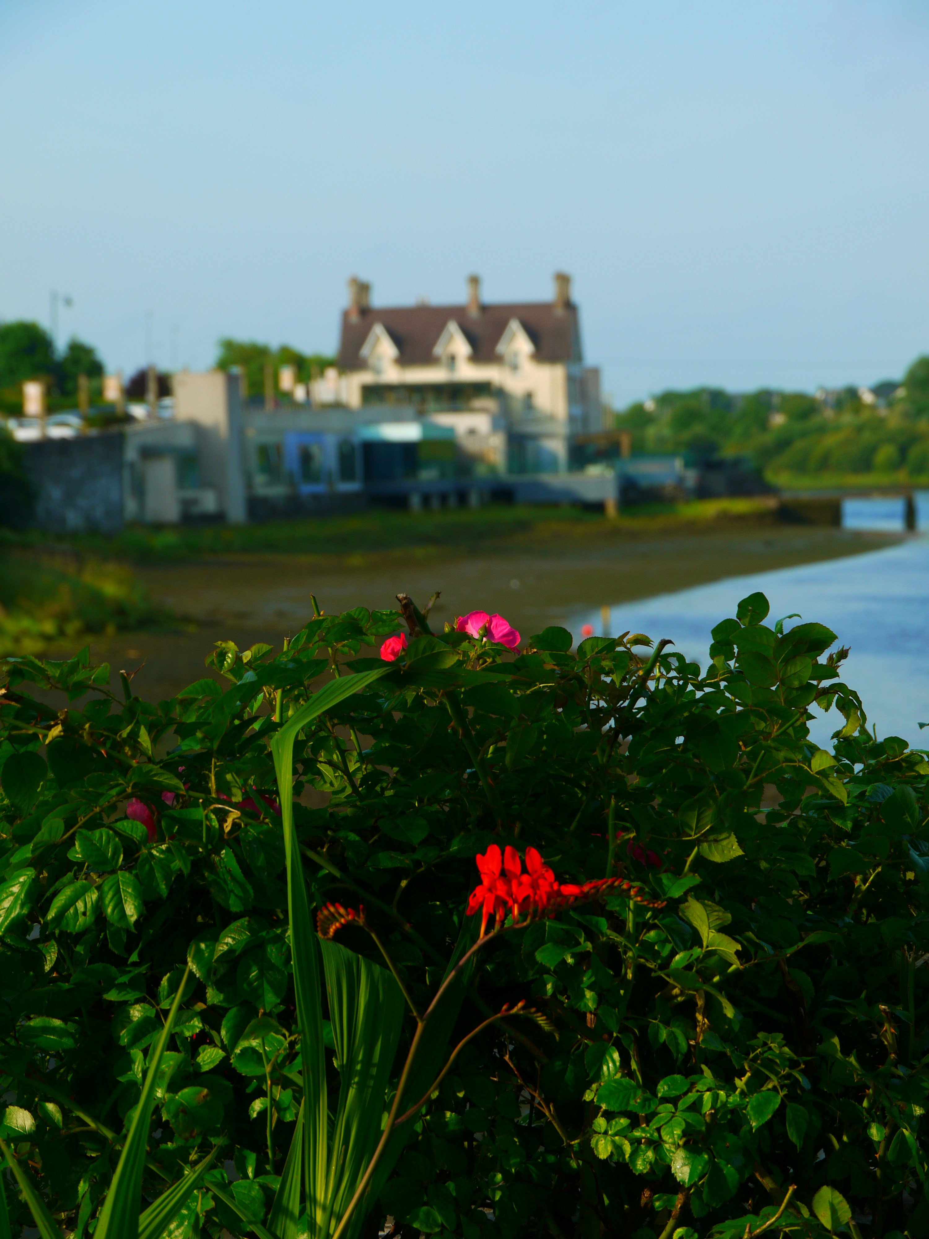 Red Hibiscus in Foreground with Seaside Villa in Blooming Light