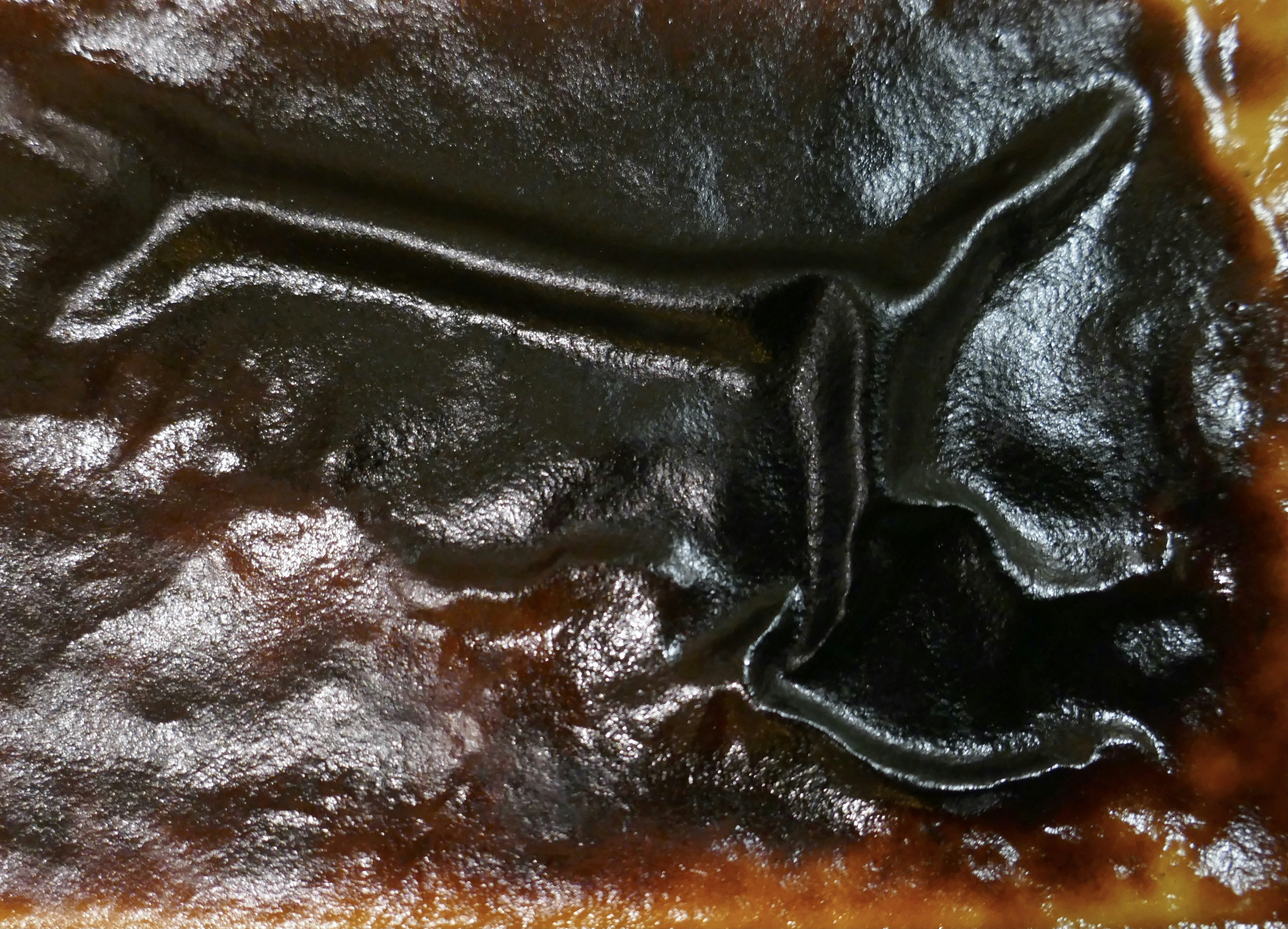 Glossy Fold: A Charred Texture Revealing Hidden Curves