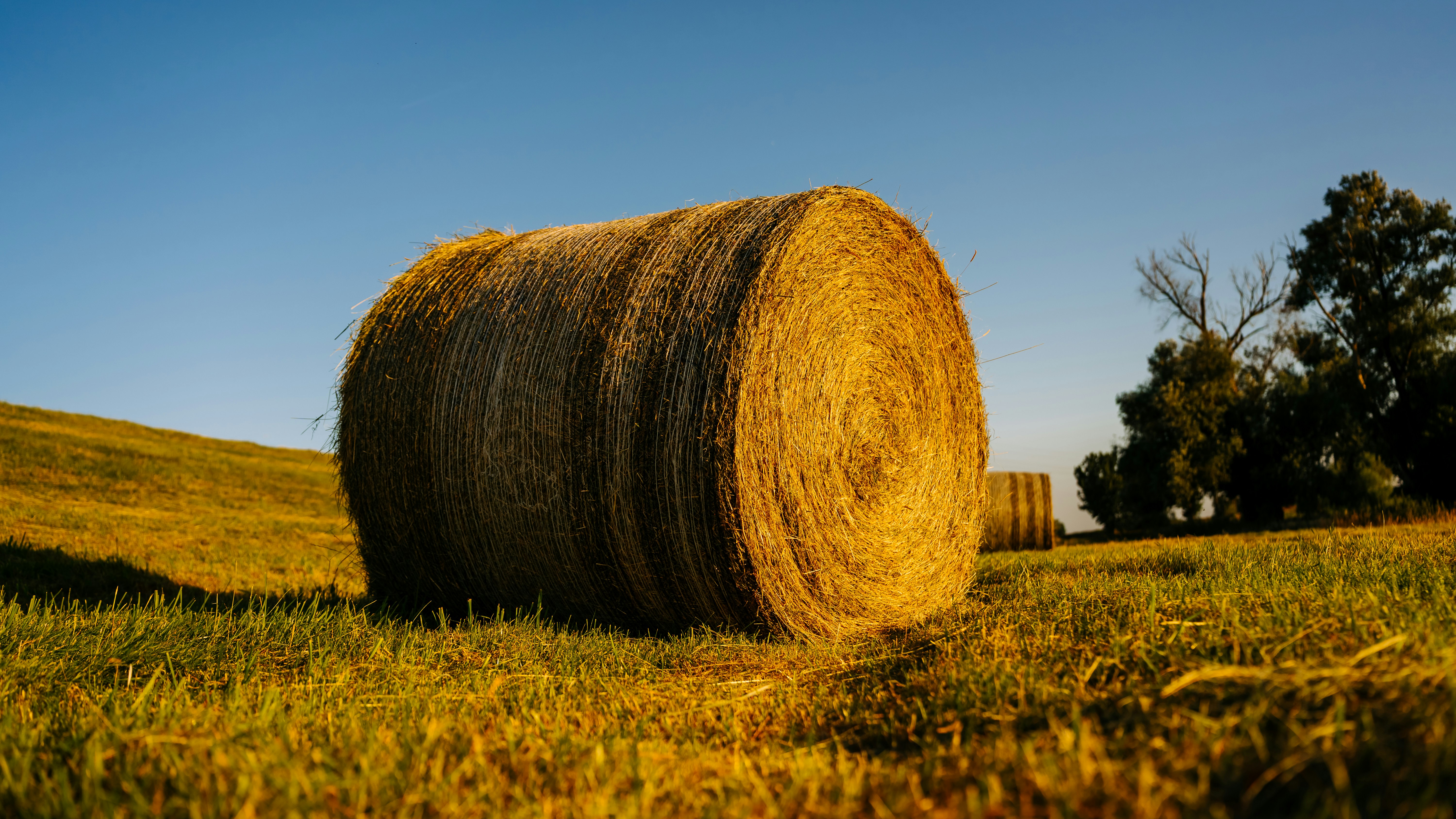 Golden hay bale in a sunlit field with distant bale and blue sky; a rural landscape emphasizing warmth and texture.