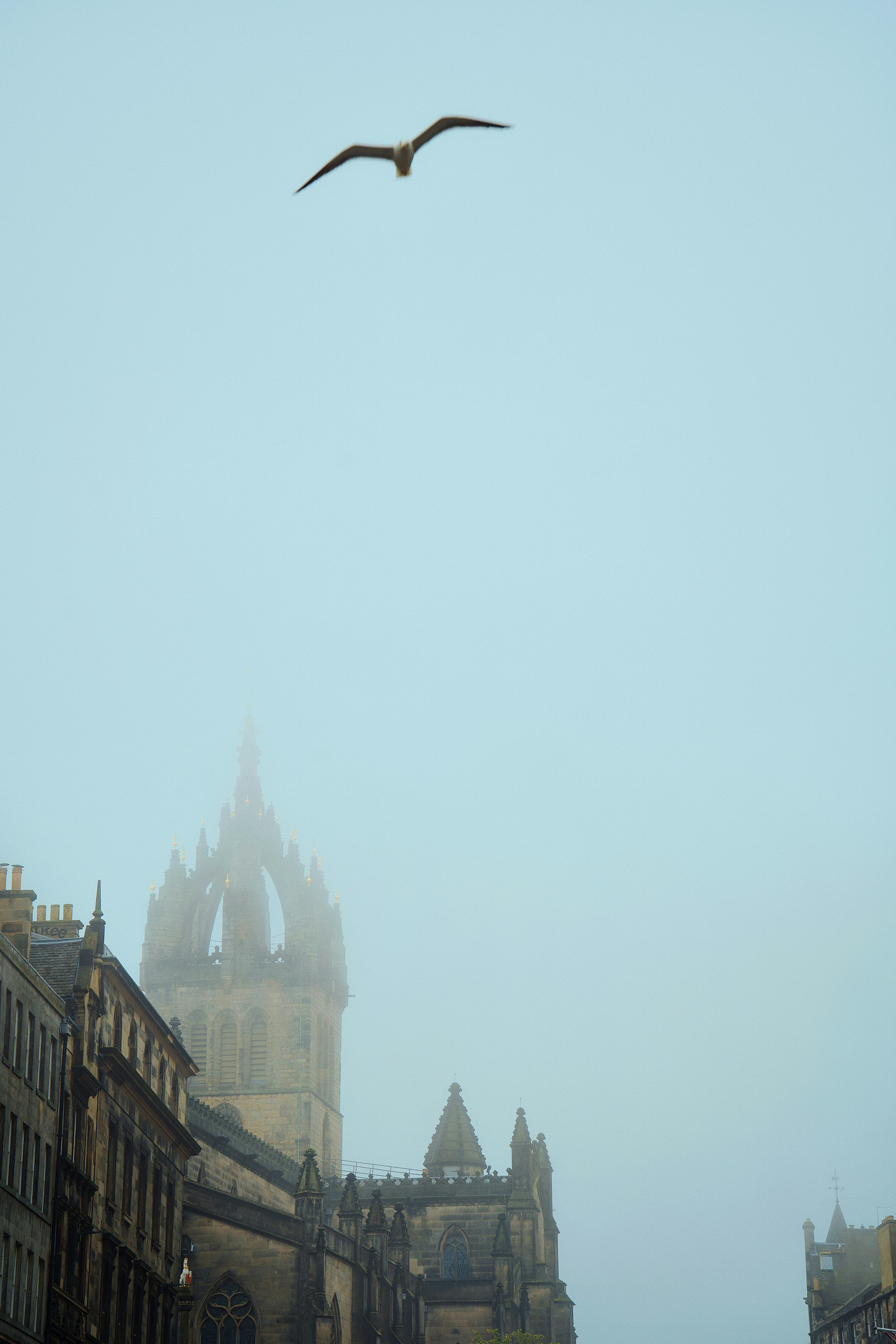 Soaring Over a Fogged Gothic City