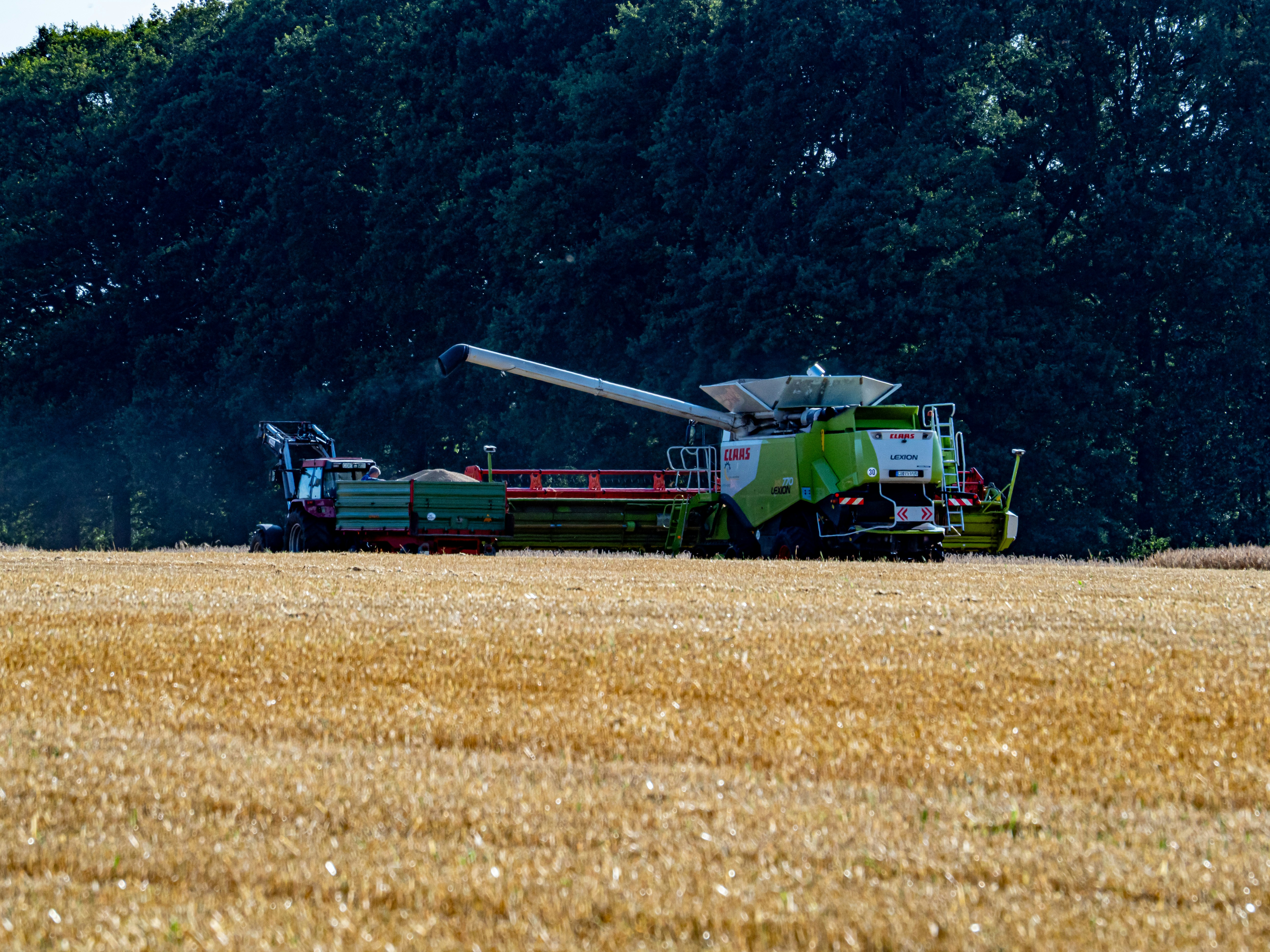 Golden Harvest at Dusk: A Lone Combine Commanding the Field