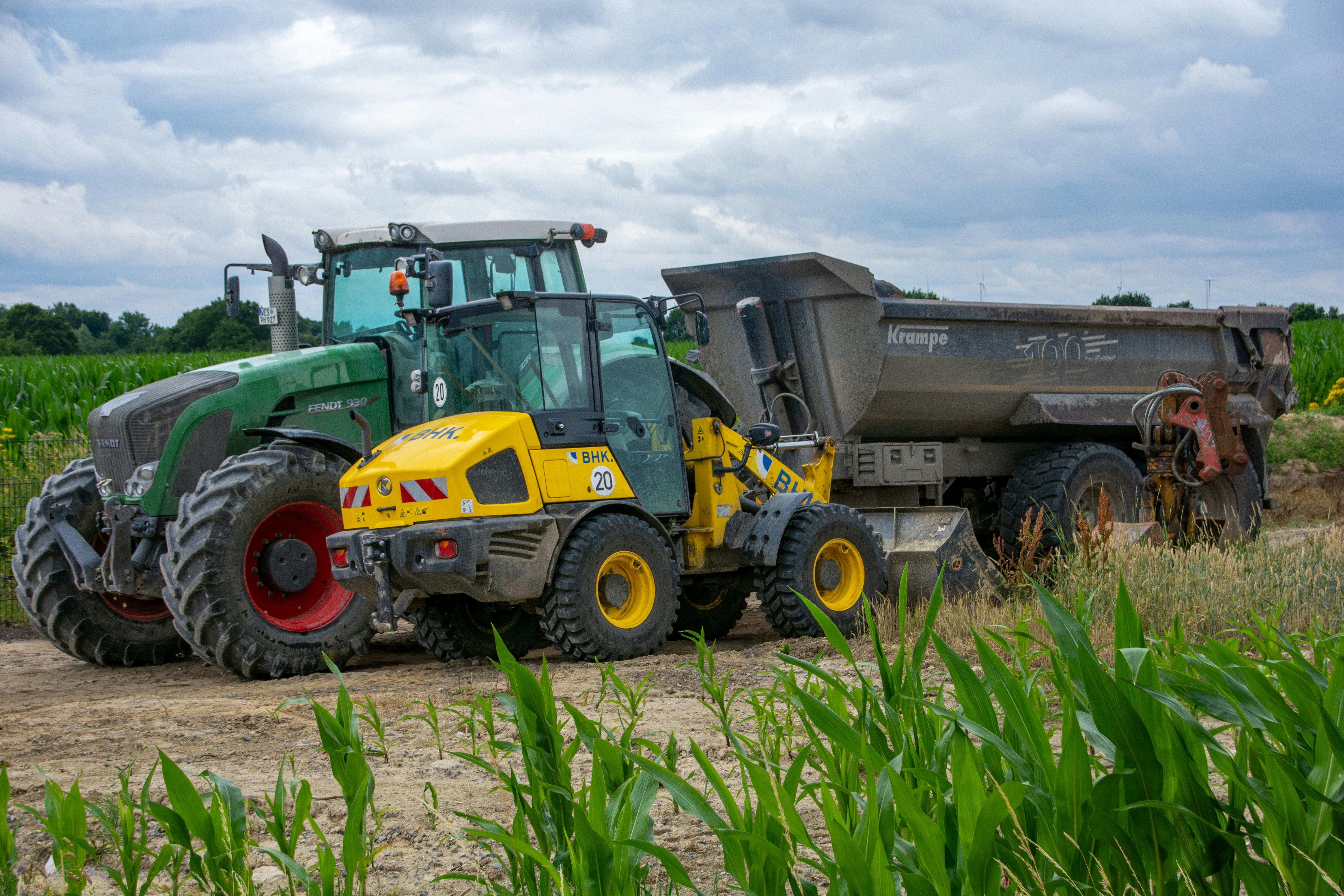 Two Harvesting Beasts Resting in a Dusty Field