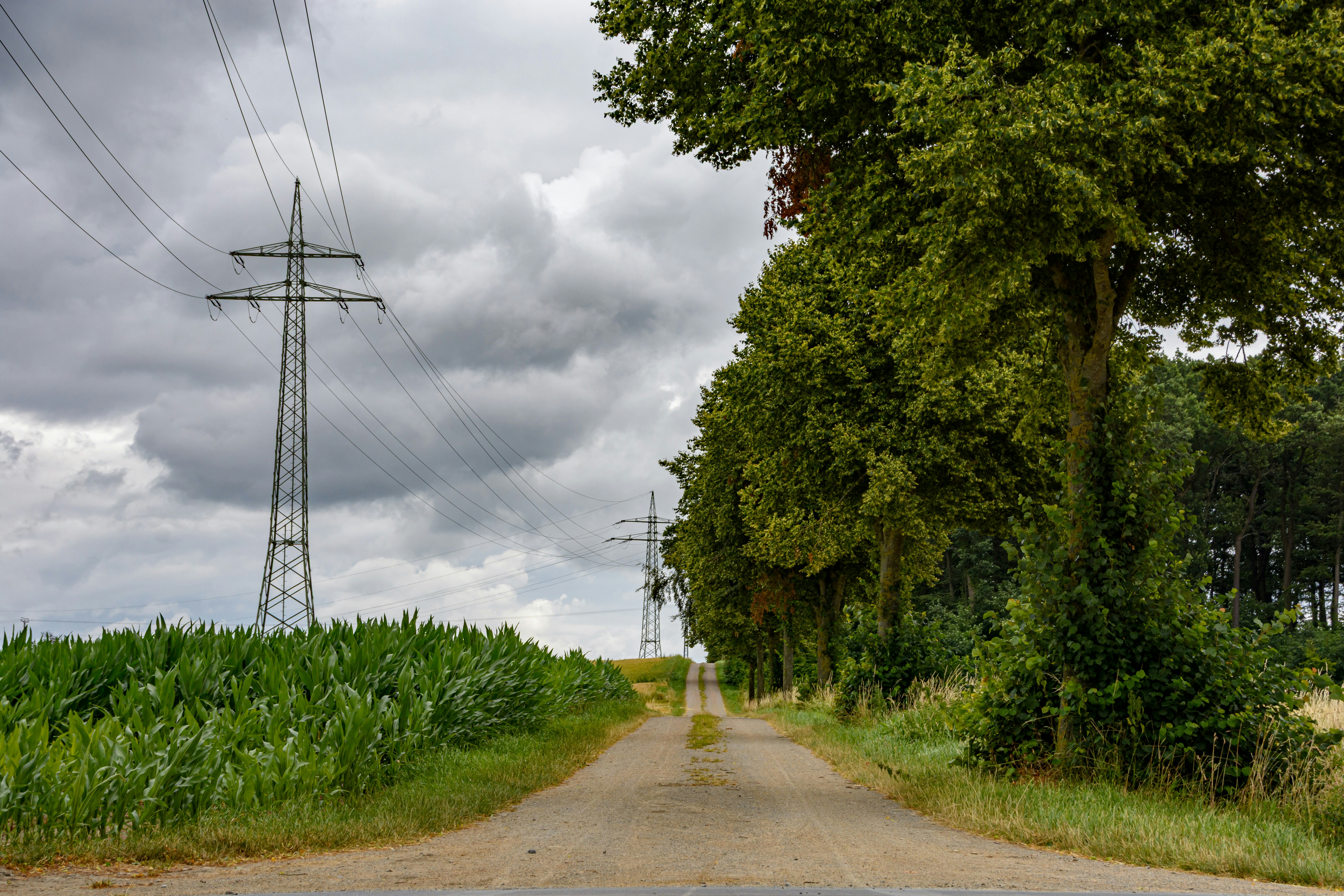 Rural Path Toward Distant Trees Under Stormy Skies