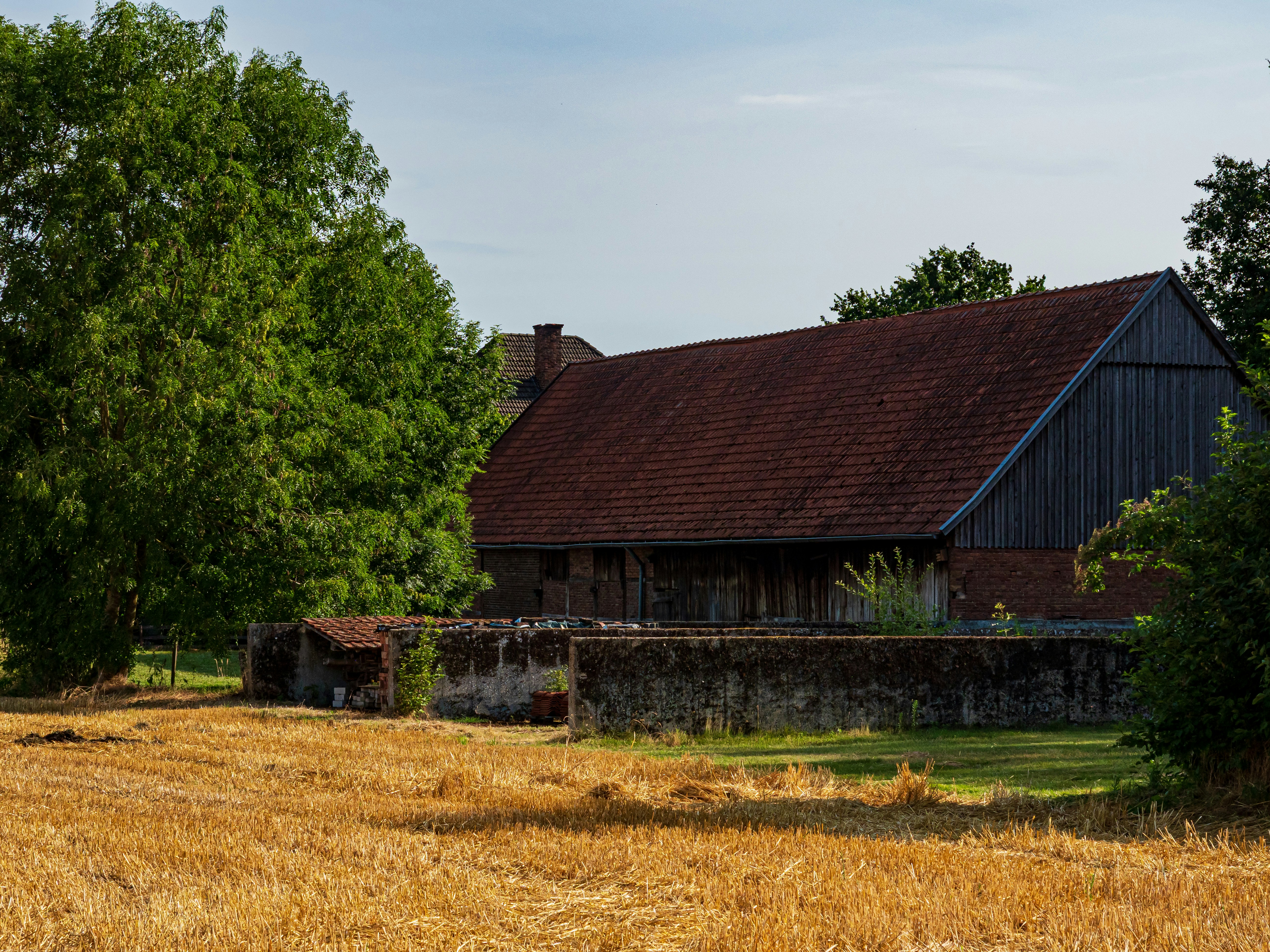 Golden harvested field stretches to a weathered barn with red-tiled roof under a blue sky. A stone wall and lush trees frame the rural scene.