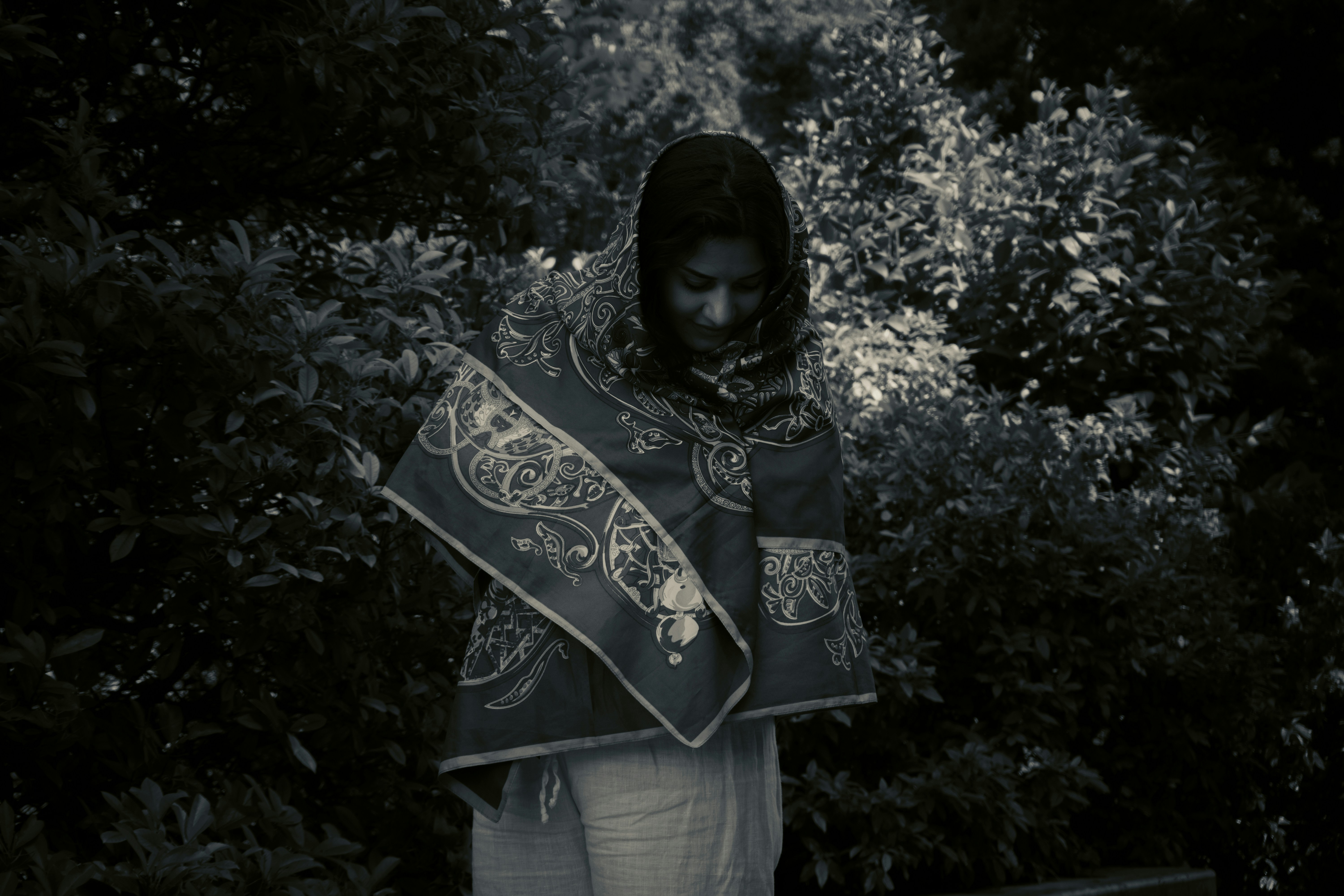 Veiled in Shadows: A Quiet Portrait Among Shrubs
