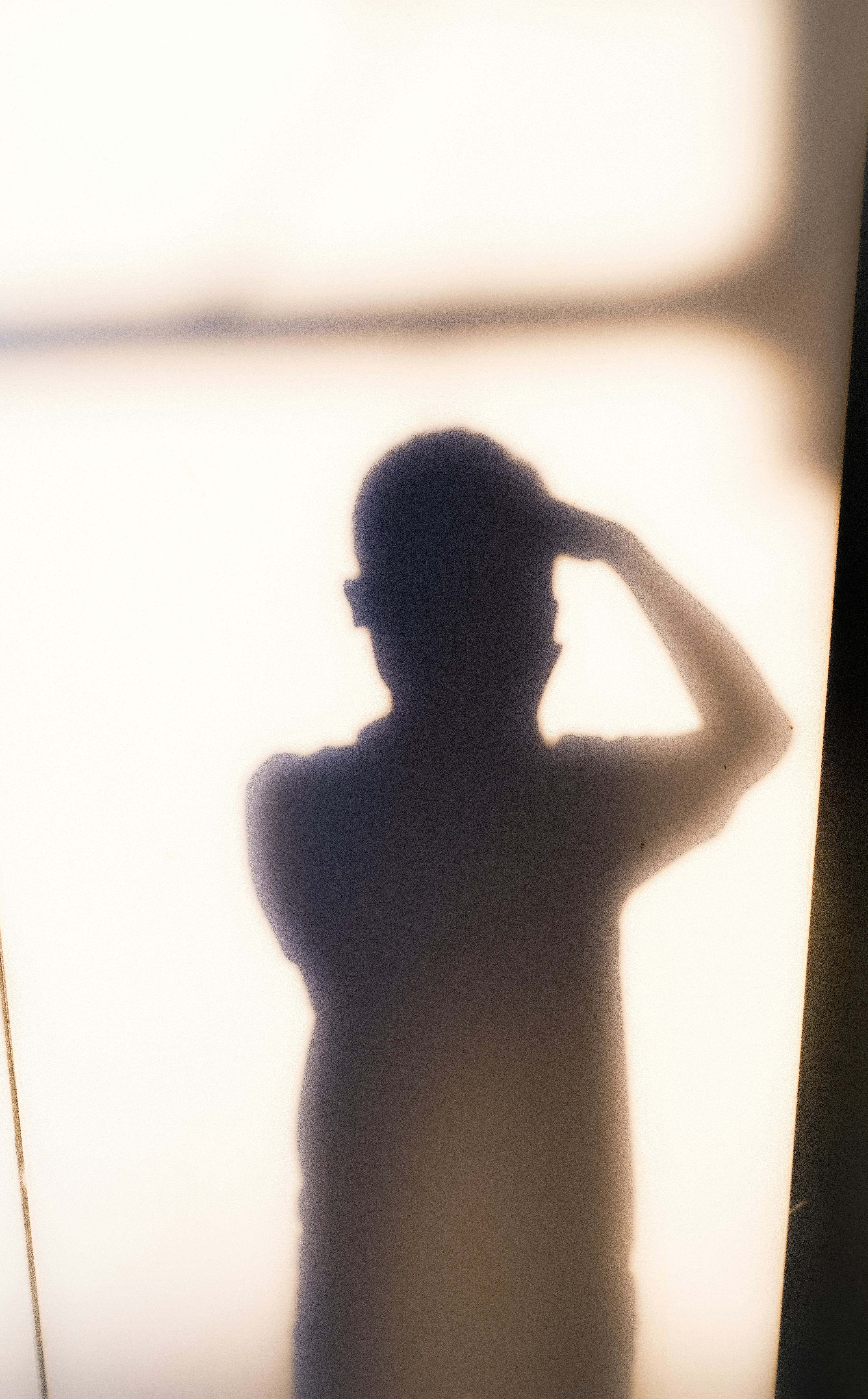 Shadowed Self: A Silhouette Cast in Soft Backlight