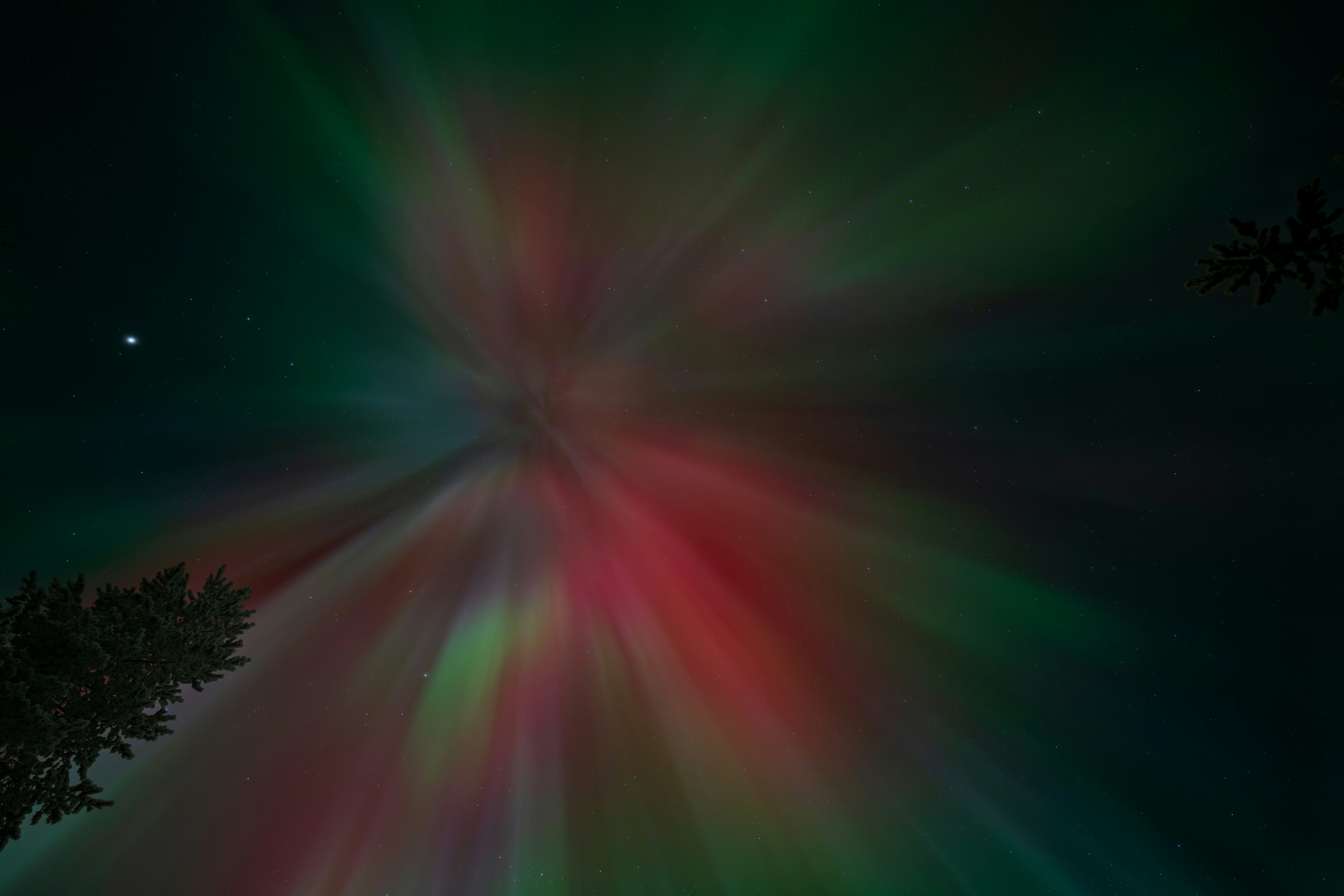 Aurora curtains fan across the night sky, with silhouetted trees at the edges framing a radiant display of red, green, and violet hues. A long-exposure capture emphasizing celestial movement.