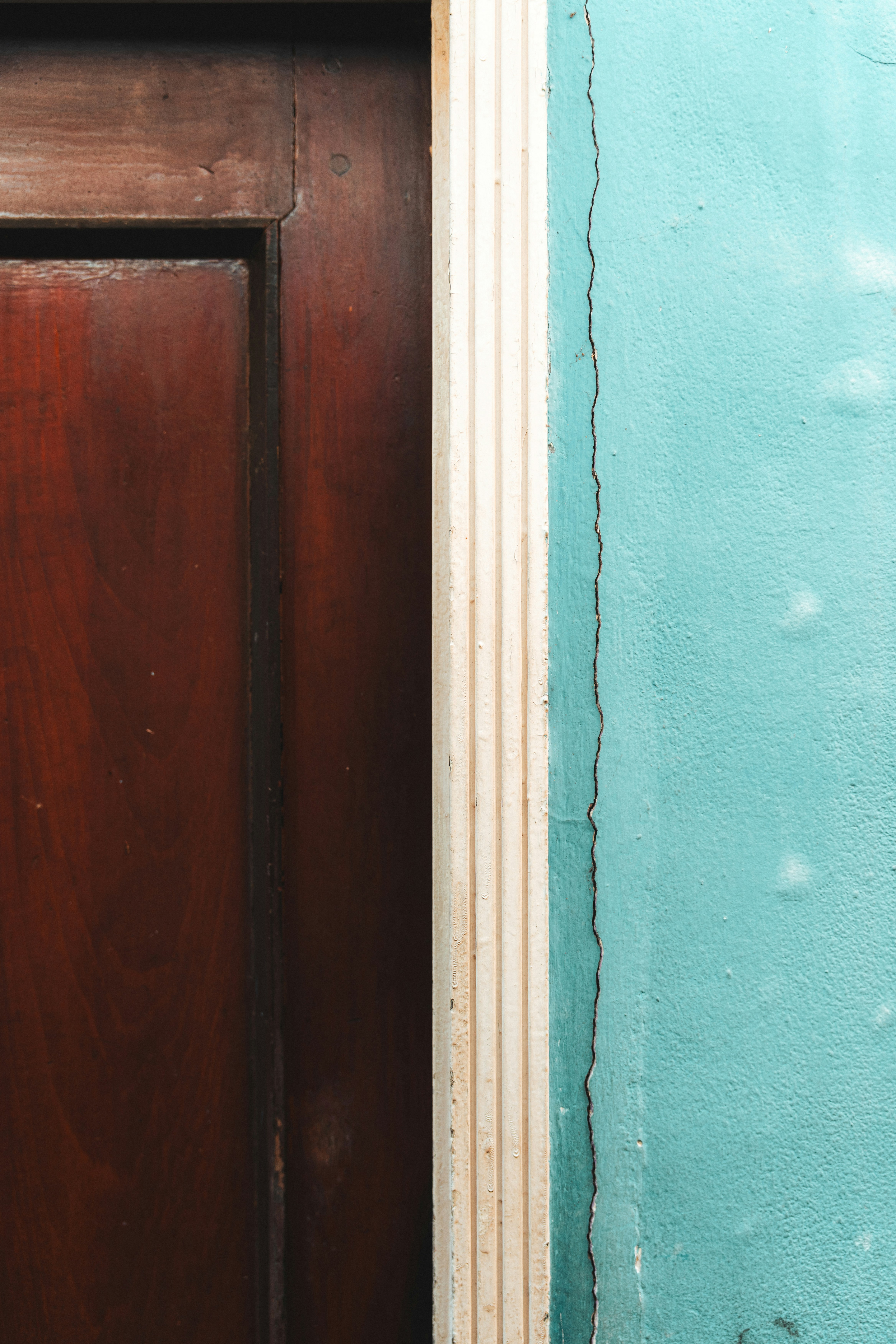 Vertical Divide: Warm Wood meets Turquoise Facade