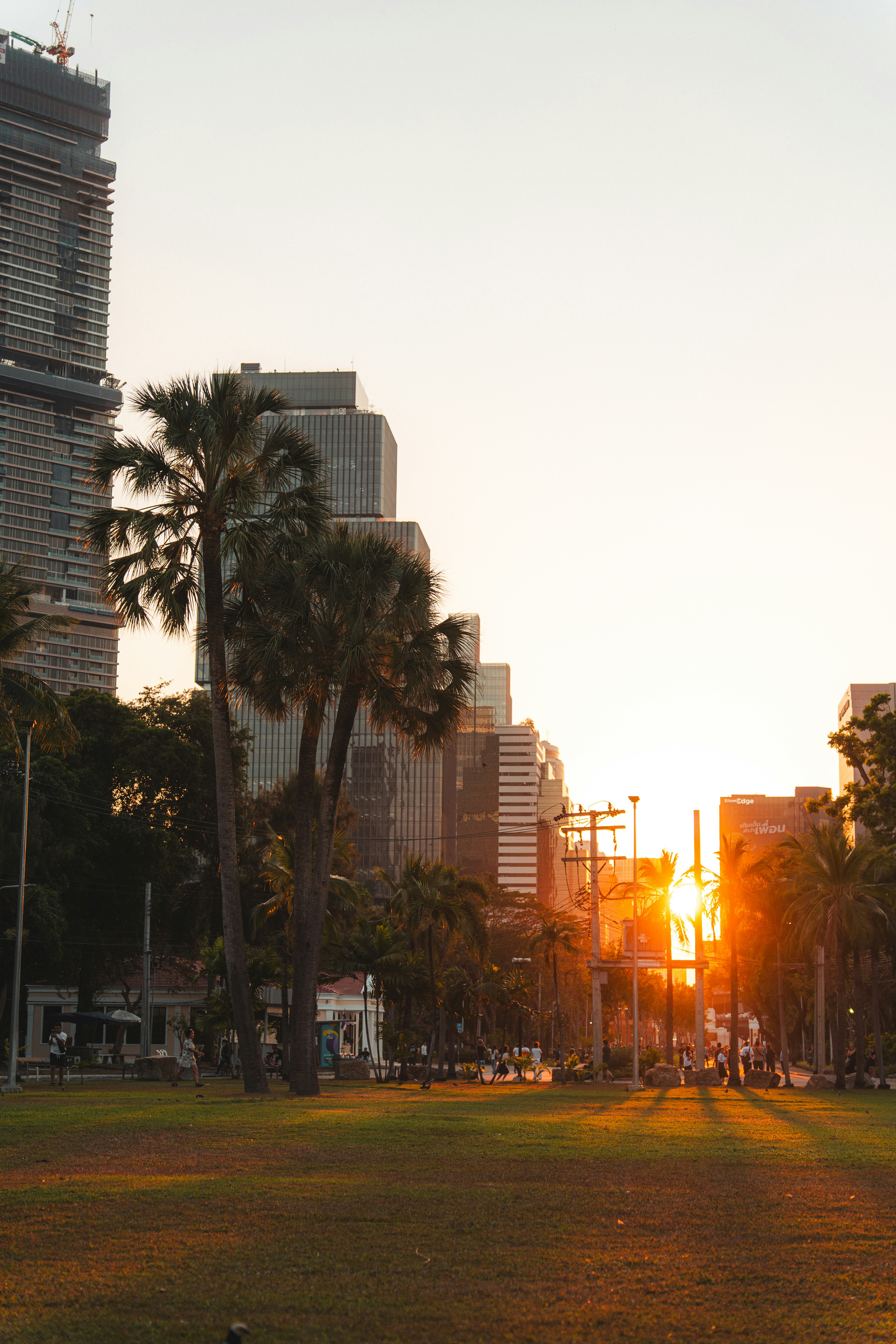 Sunset Promenade Through a Palm-Lined Cityscape