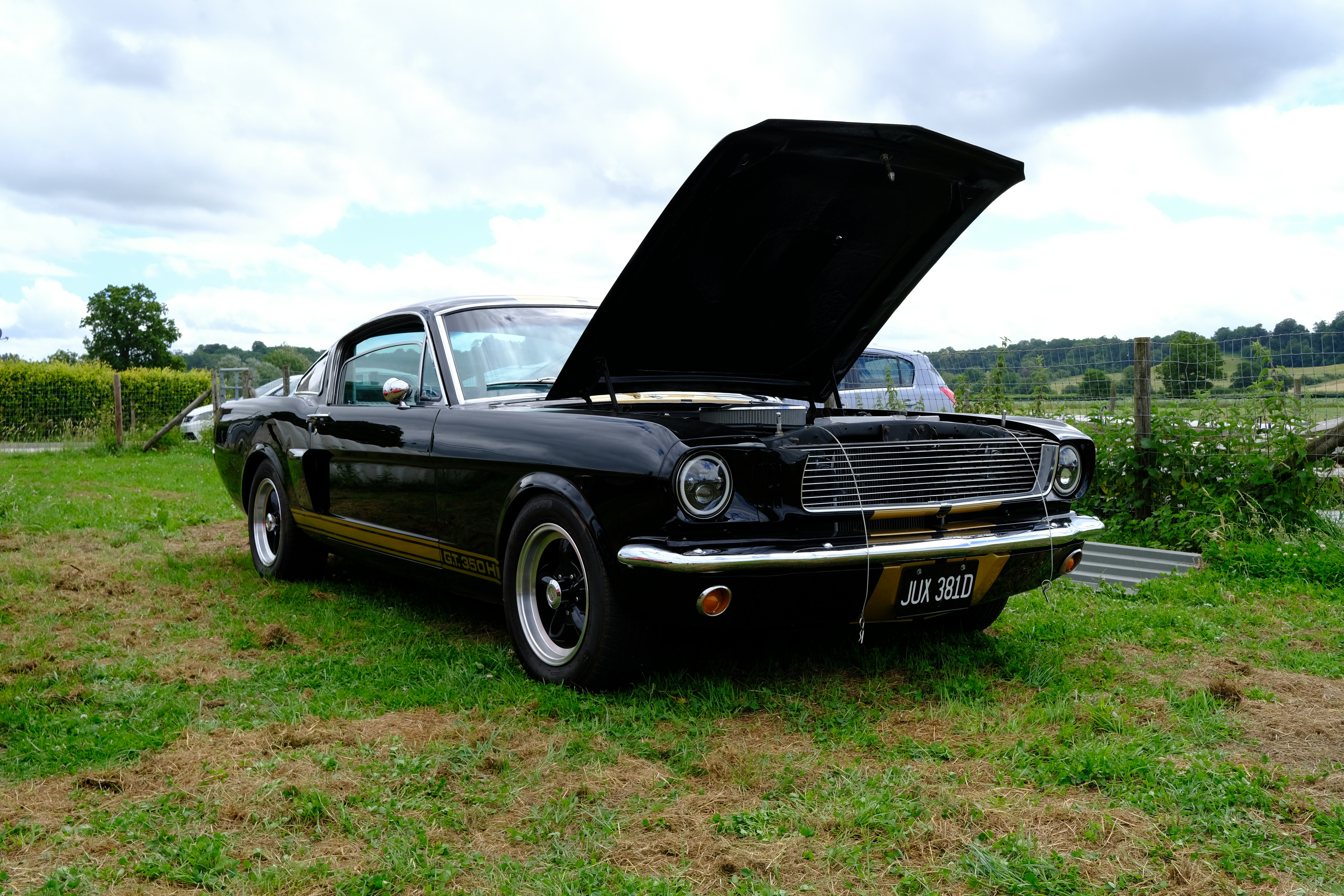 Classic black car with its hood open sits on grass near a rural fence; the scene highlights restoration details and the vehicle's chrome accents.