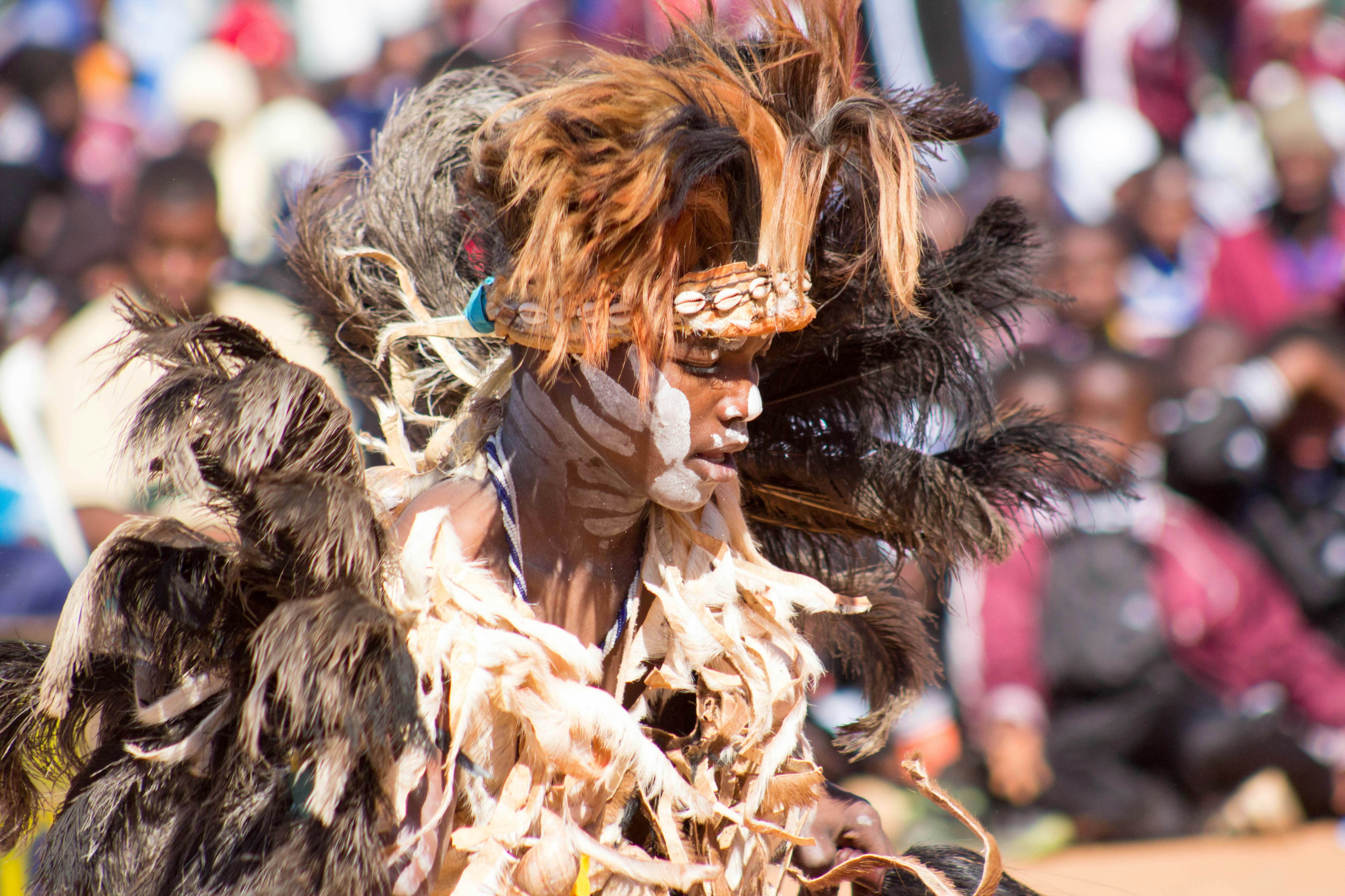 Feathered Spirit Dancer: Focus on the Move