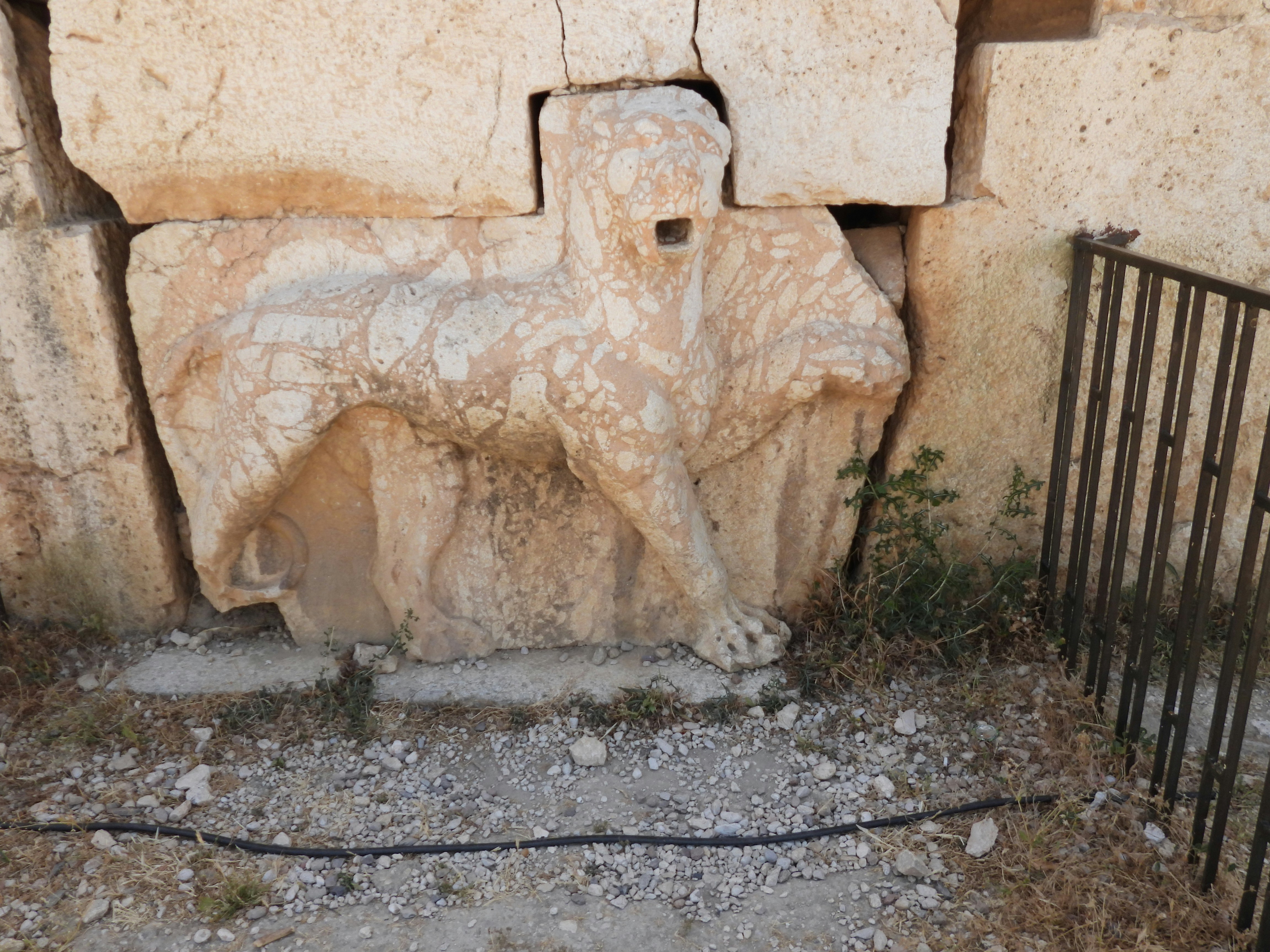 Ancient Carved Lions Guard the Crumbling Wall