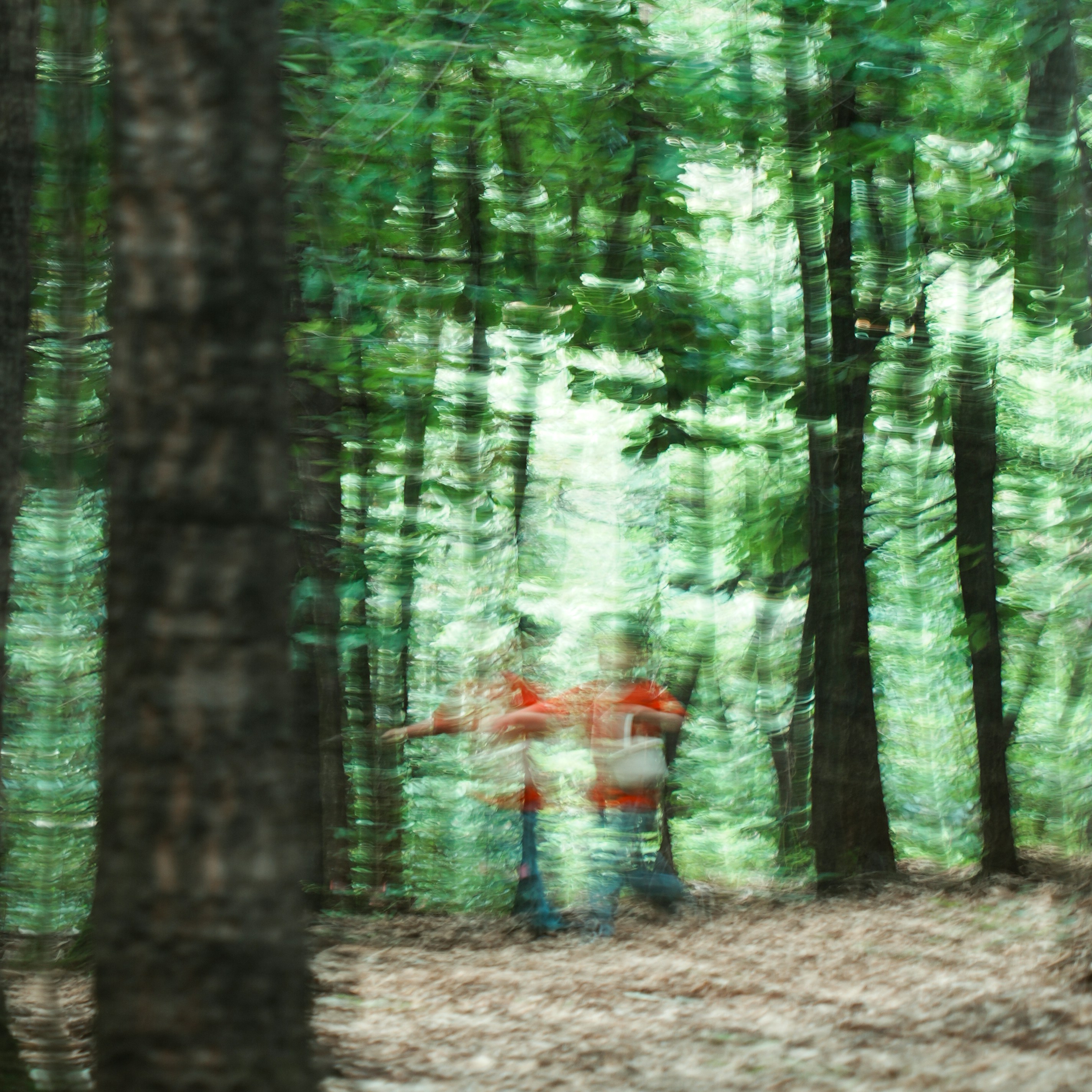 Forest Echoes: Two Figures in Soft Blur Amid Tall Pines