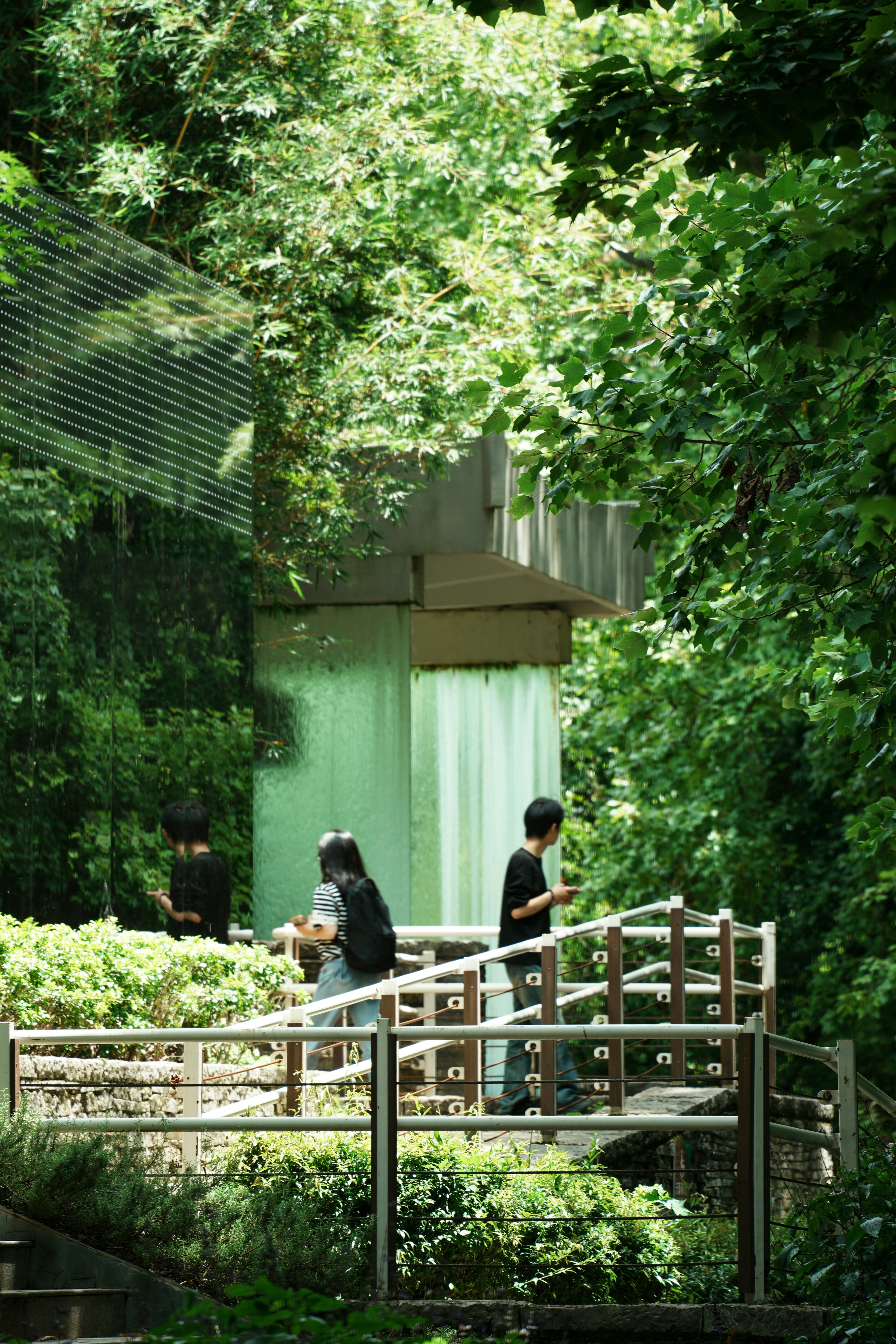 Quiet Passage: People Crossing a Sunlit Green Corridor