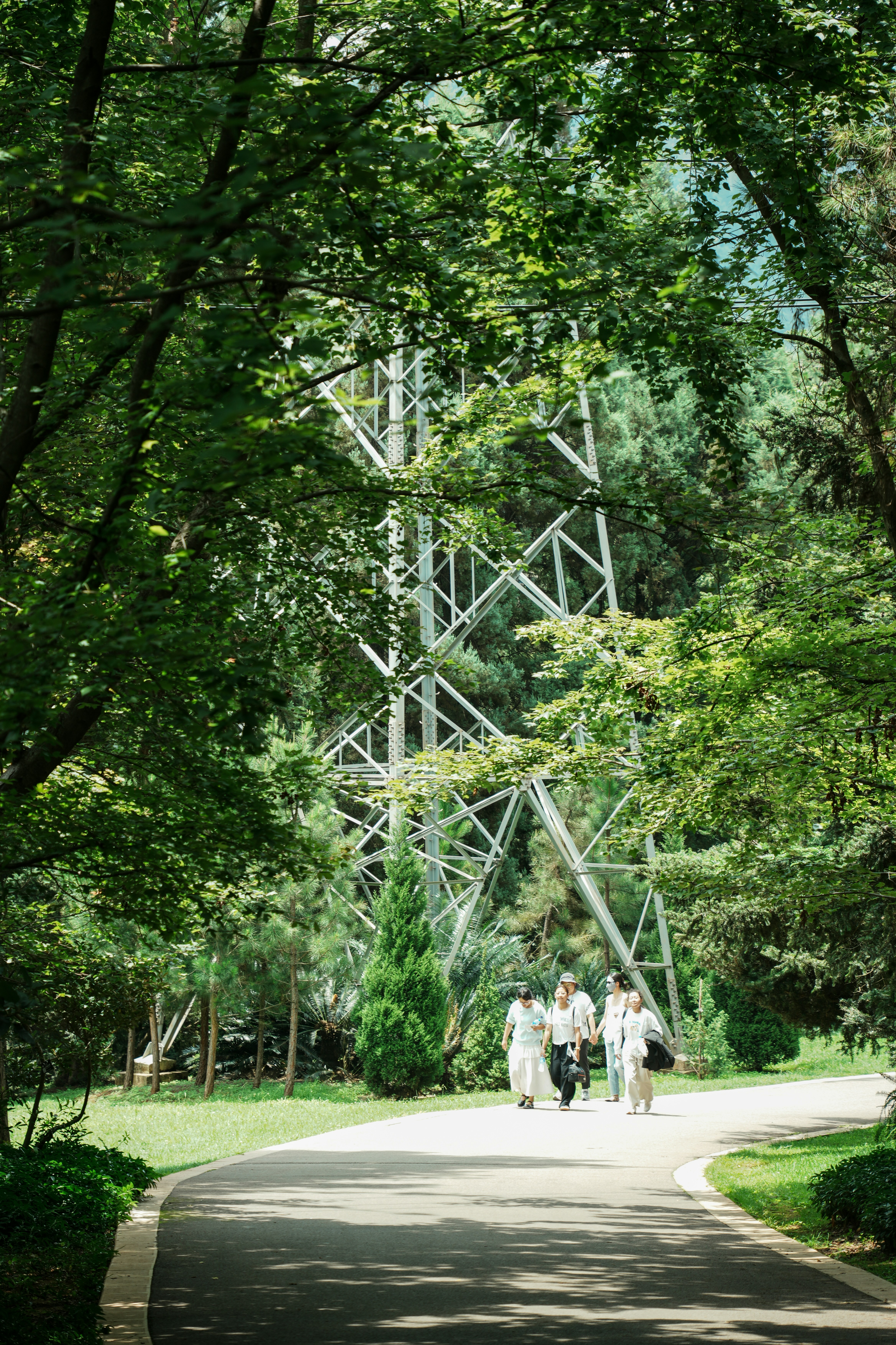 Sunlit Path Through a Green Cathedral by a Metallic Tower