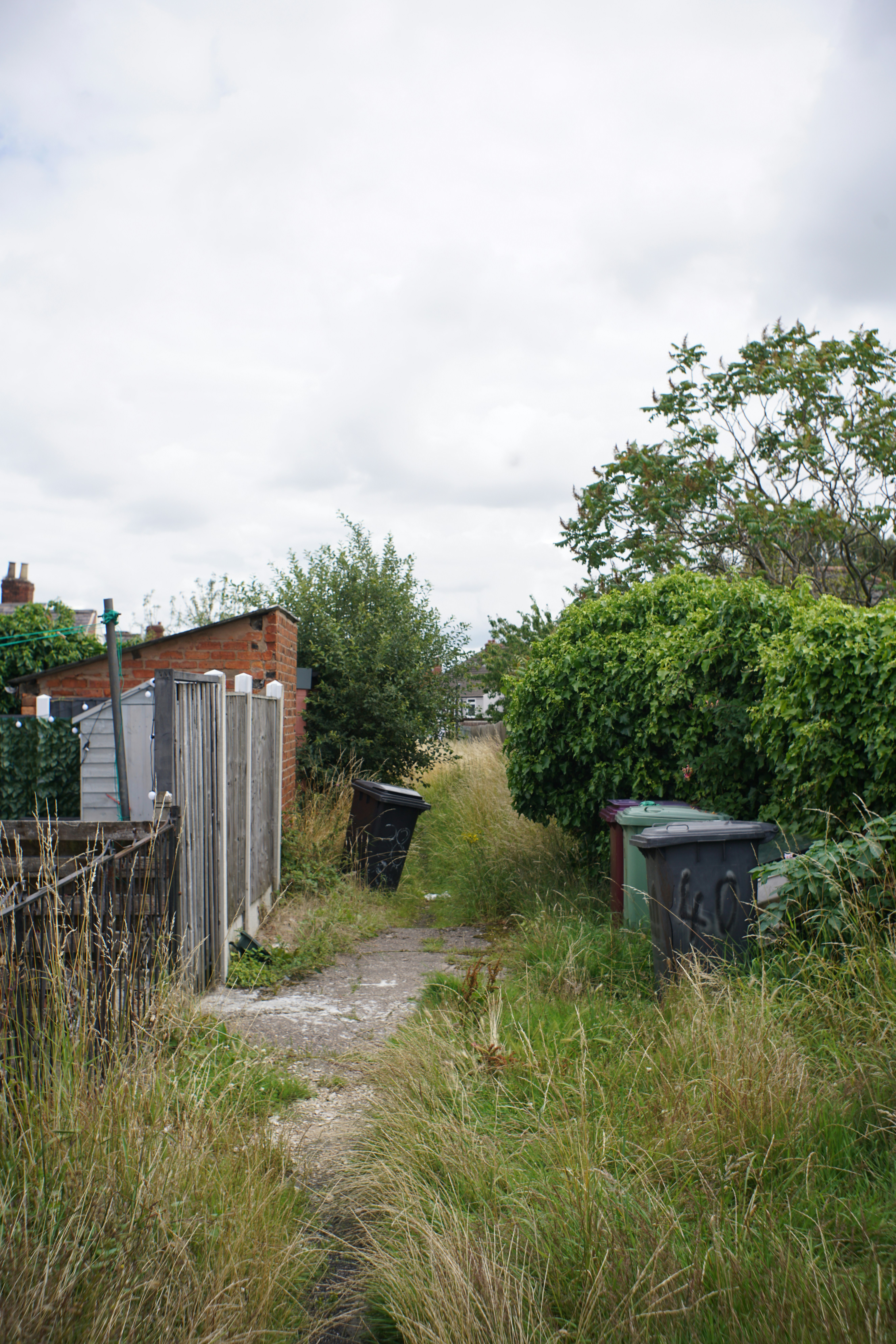 Narrow backstreet with overgrown path and scattered bins