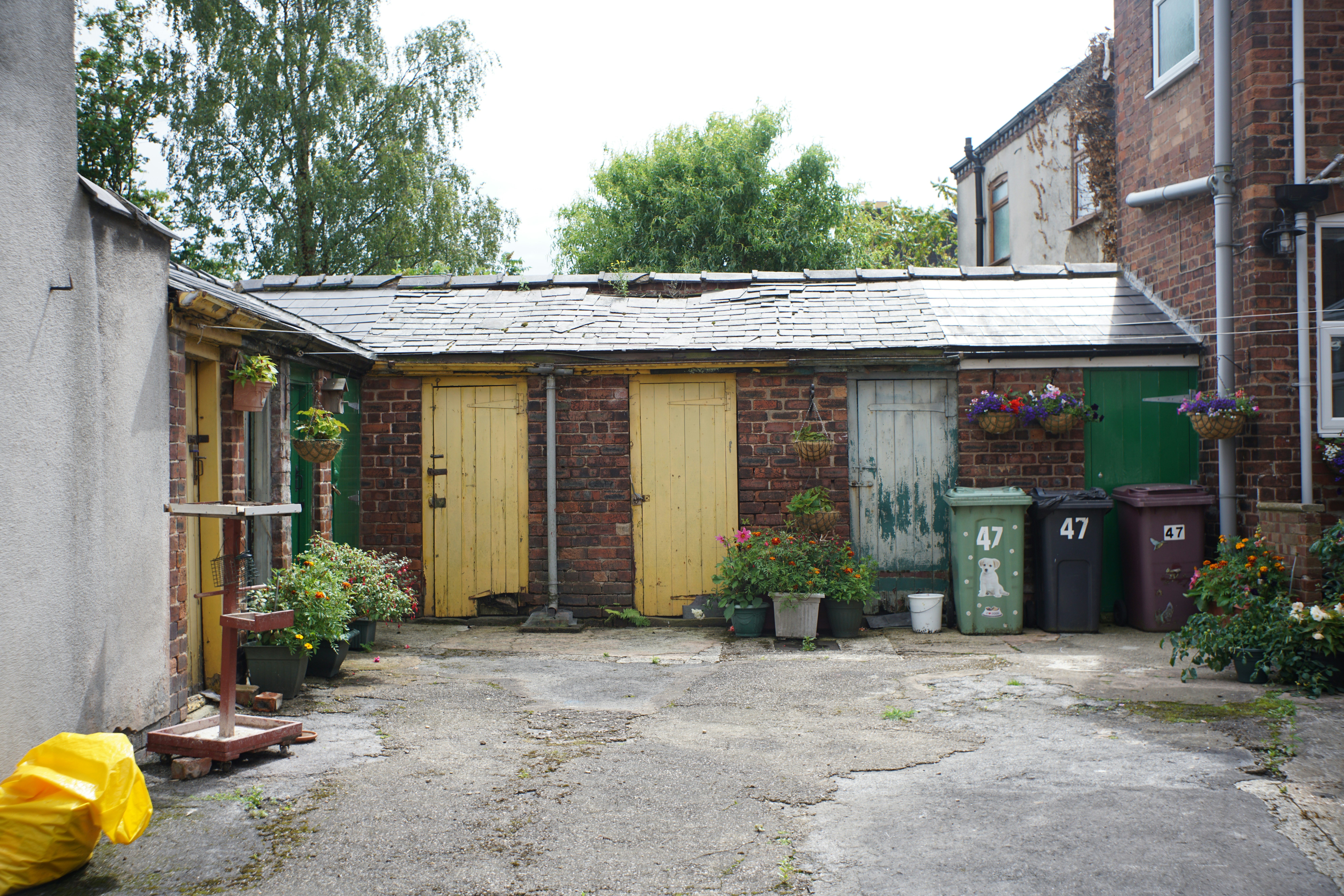 Garage Row in a Quiet Backyard