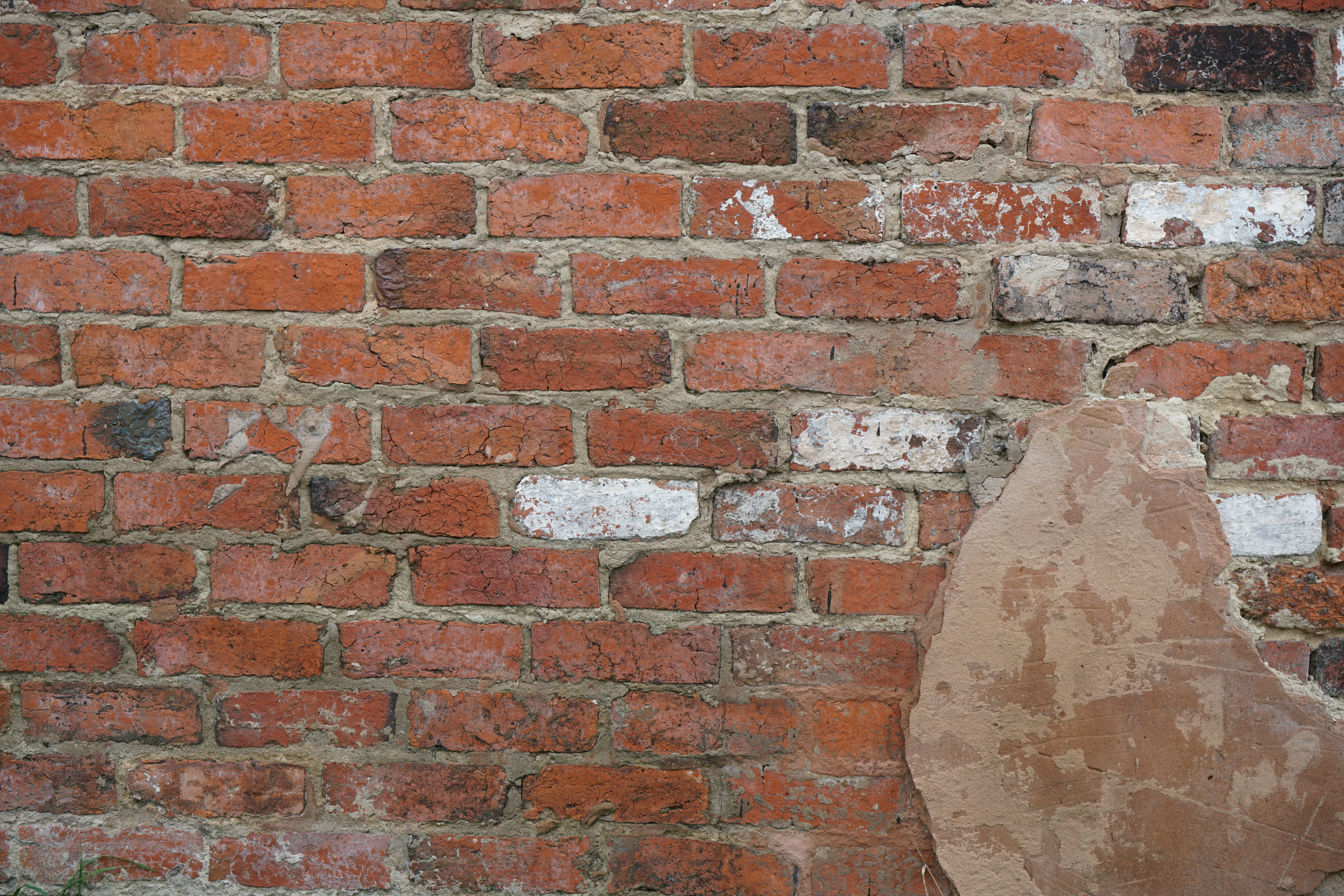 Weathered bricks and peeling plaster: a quiet wall story