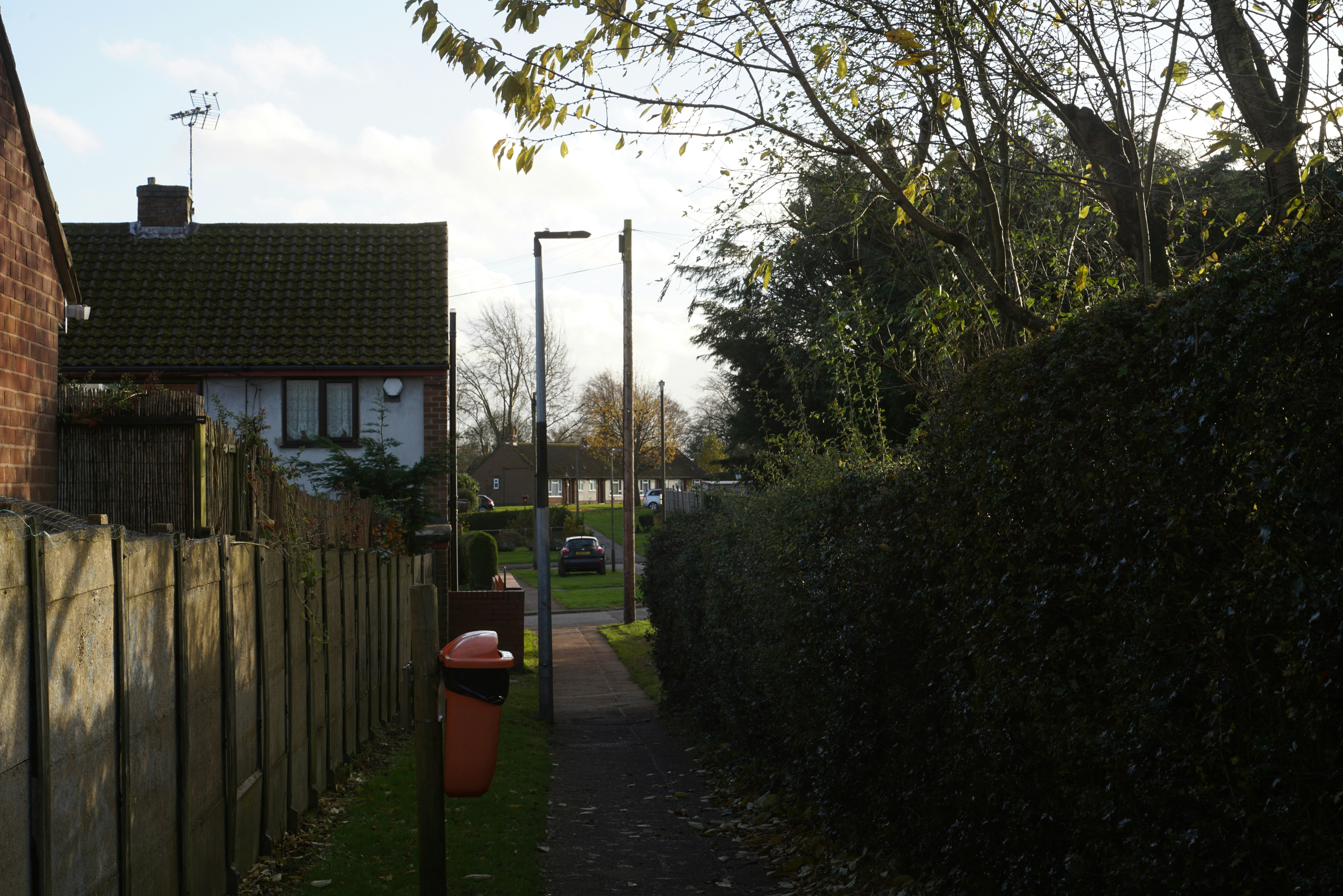 Quiet Suburban Pathway: A Sunlit Corridor to the Street